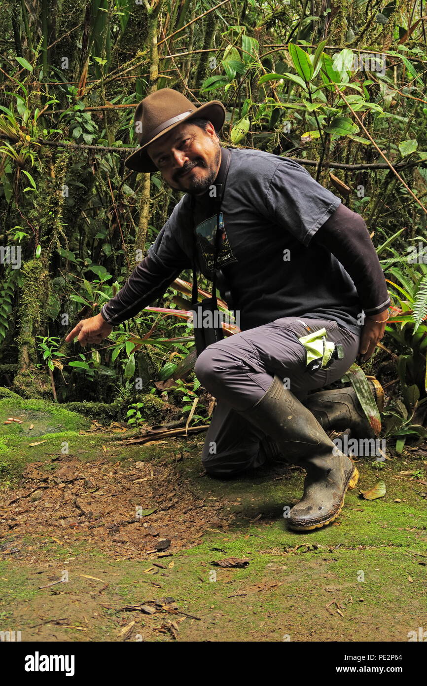 Xavier munoz immagini e fotografie stock ad alta risoluzione - Alamy
