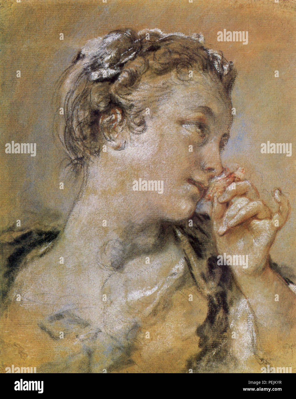 Disegni di rose immagini e fotografie stock ad alta risoluzione - Alamy