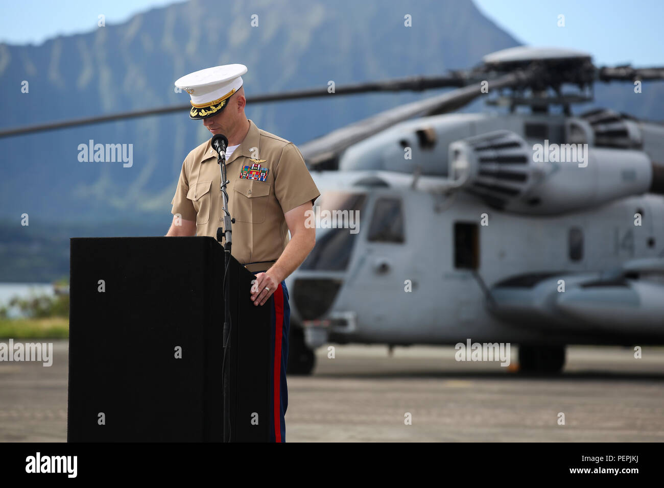 Bandiera hawaiana nativa immagini e fotografie stock ad alta ...
