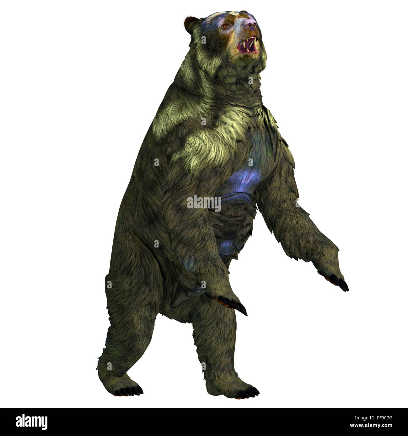 Arctodus Orso - Arctodus era un onnivoro a breve di fronte orso che ha ...
