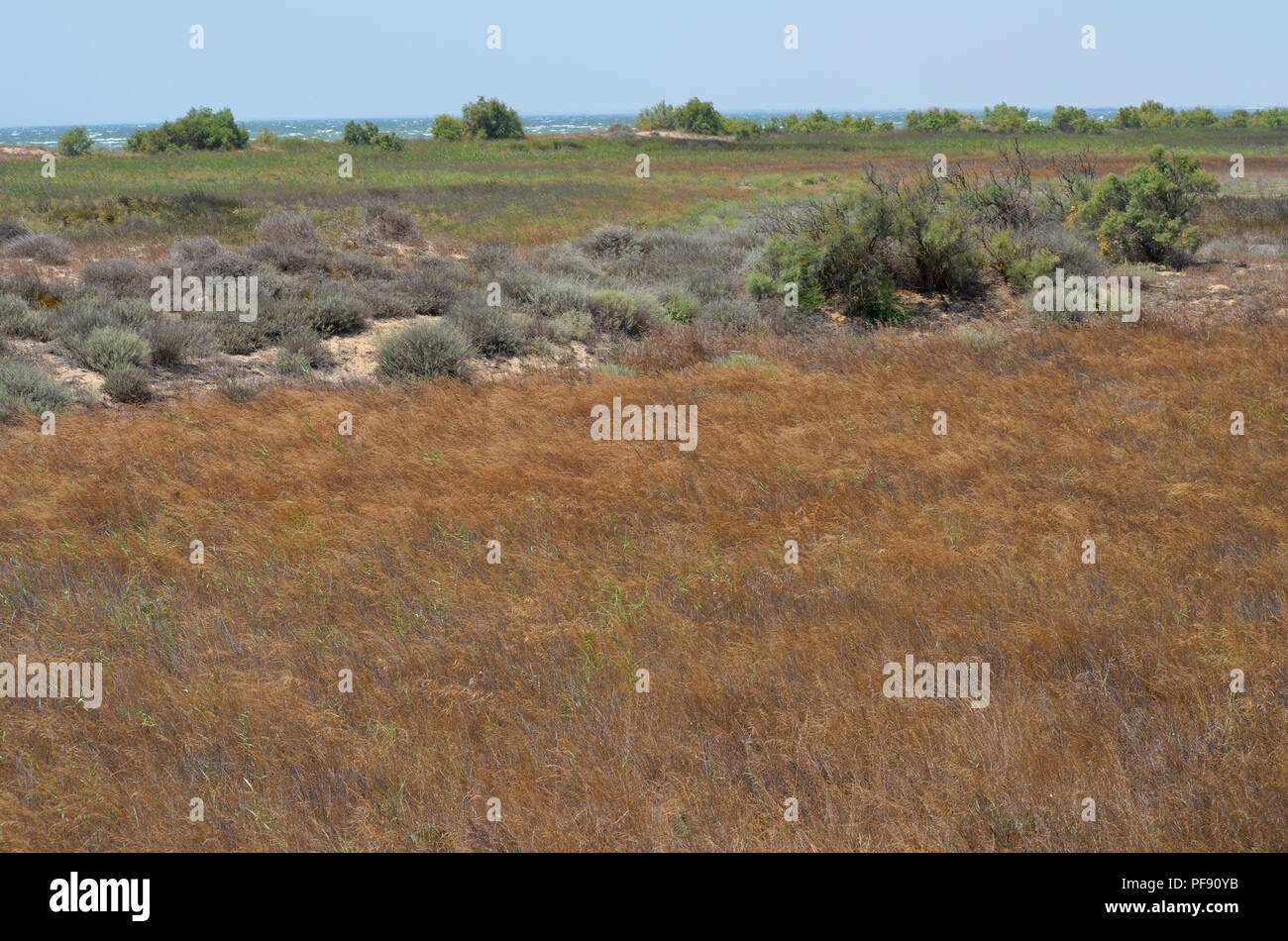 Parco nazionale marittimo terrestre immagini e fotografie stock ad alta ...