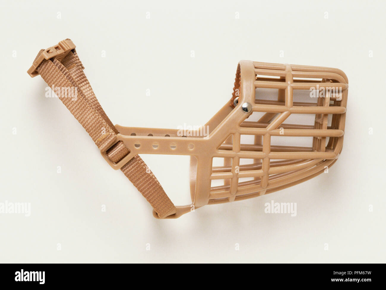 Muso di contenimento immagini e fotografie stock ad alta risoluzione ...