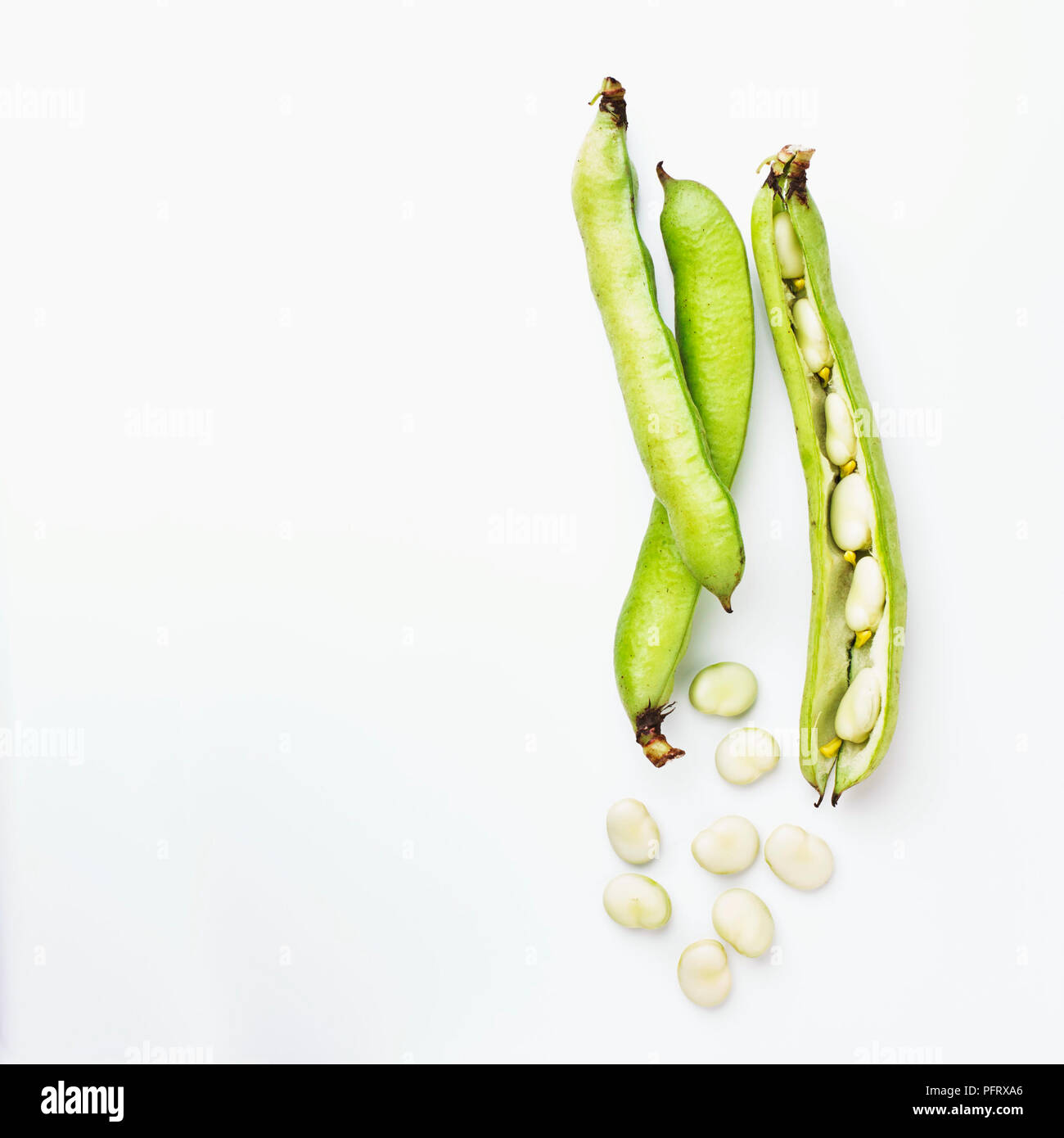 Baccello di fave immagini e fotografie stock ad alta risoluzione - Alamy