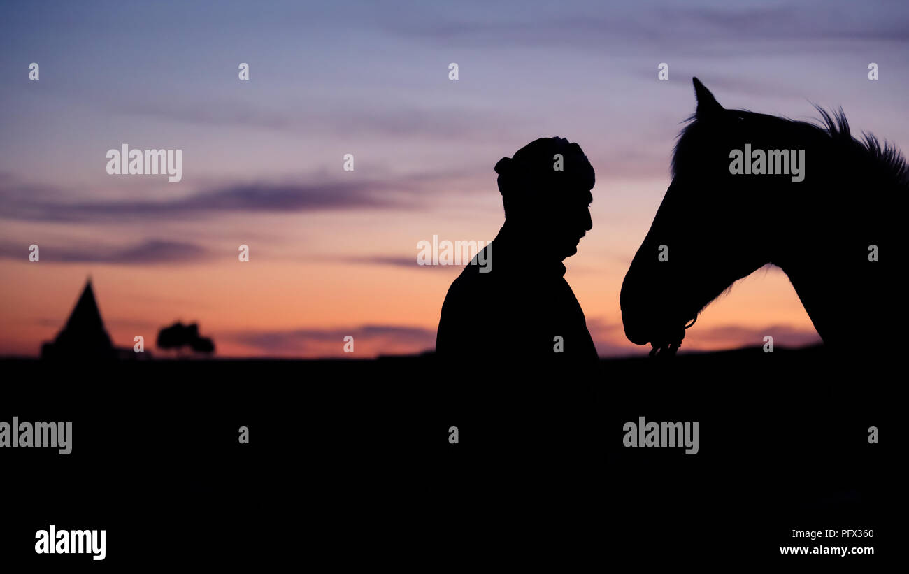 Una sagoma di un cavallo immagini e fotografie stock ad alta ...