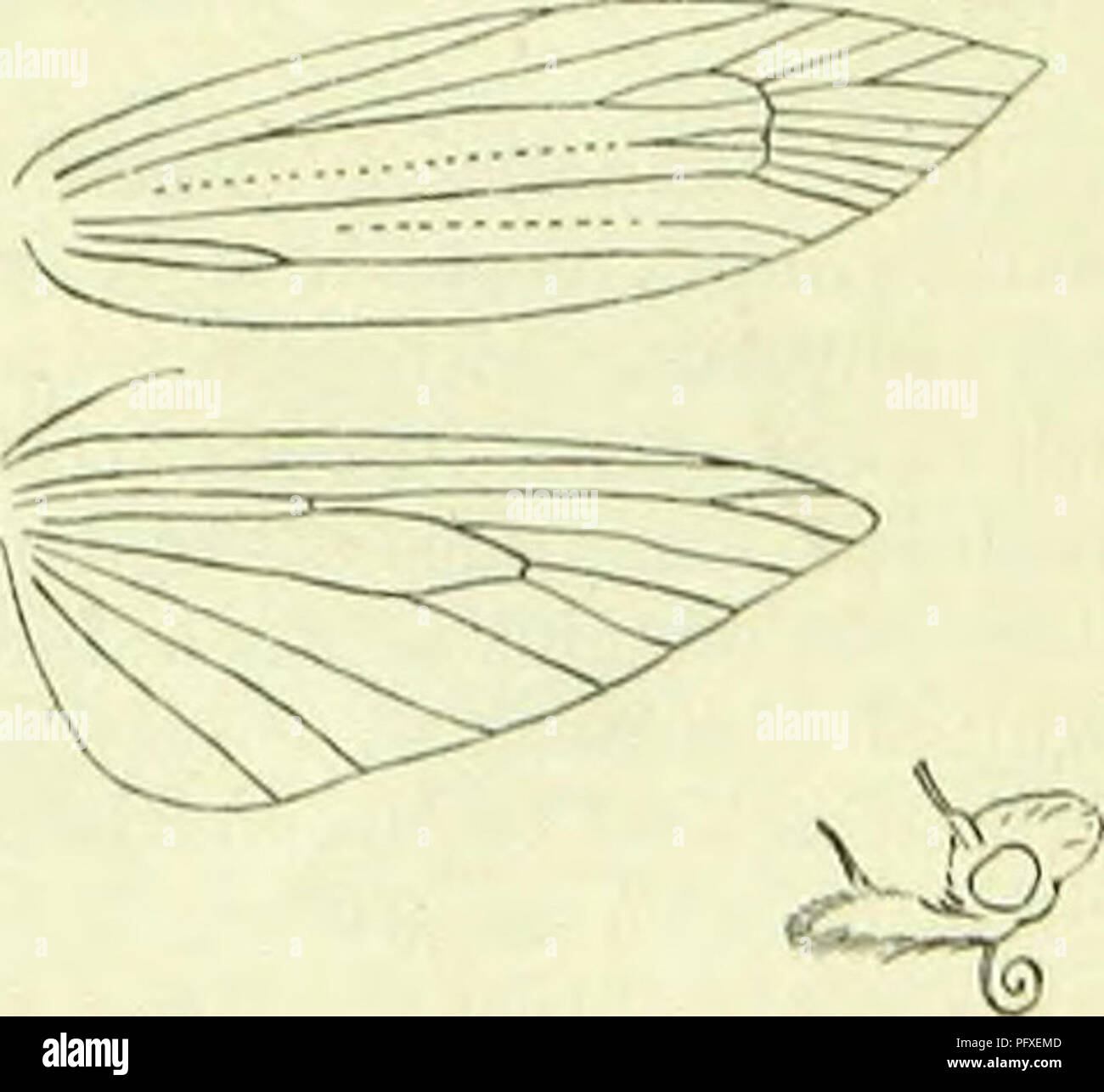 Ph scale immagini e fotografie stock ad alta risoluzione - Alamy