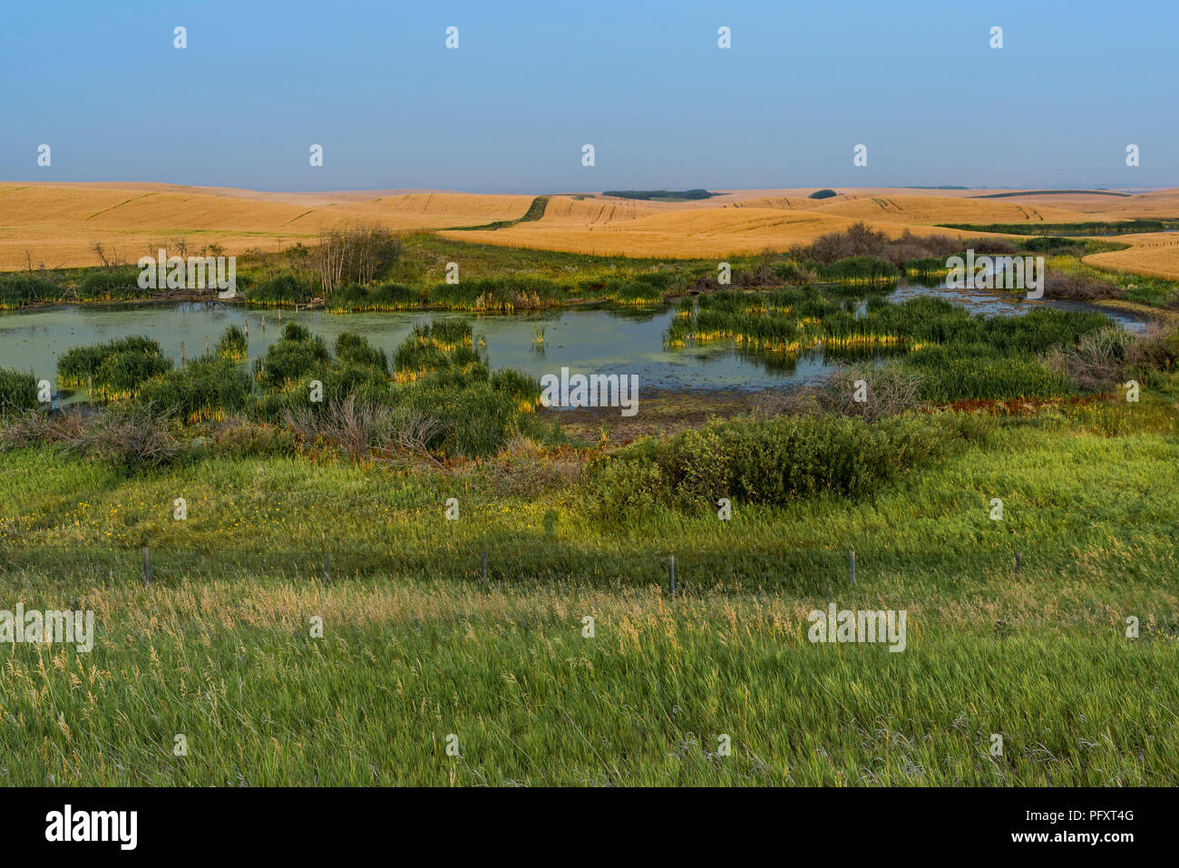 Contea di starland immagini e fotografie stock ad alta risoluzione - Alamy