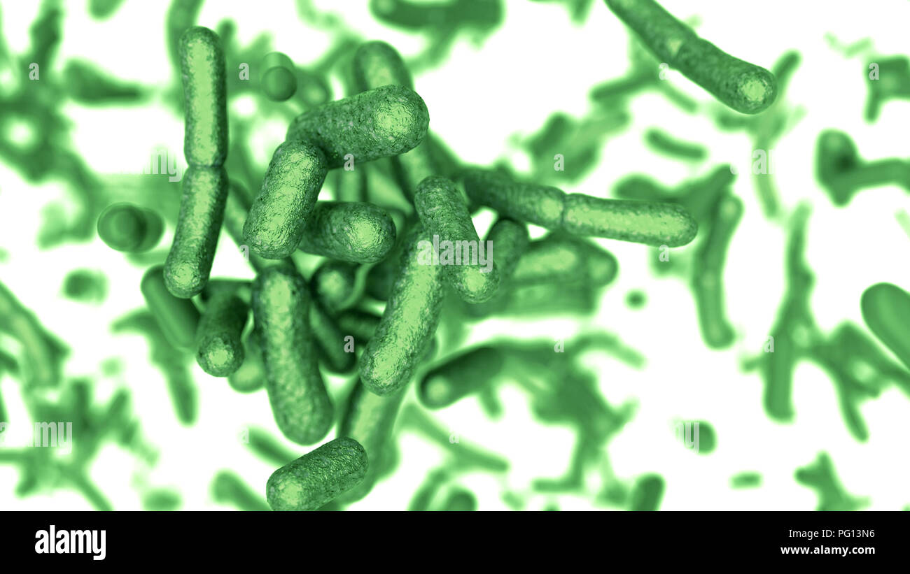 Batteri marini immagini e fotografie stock ad alta risoluzione - Alamy