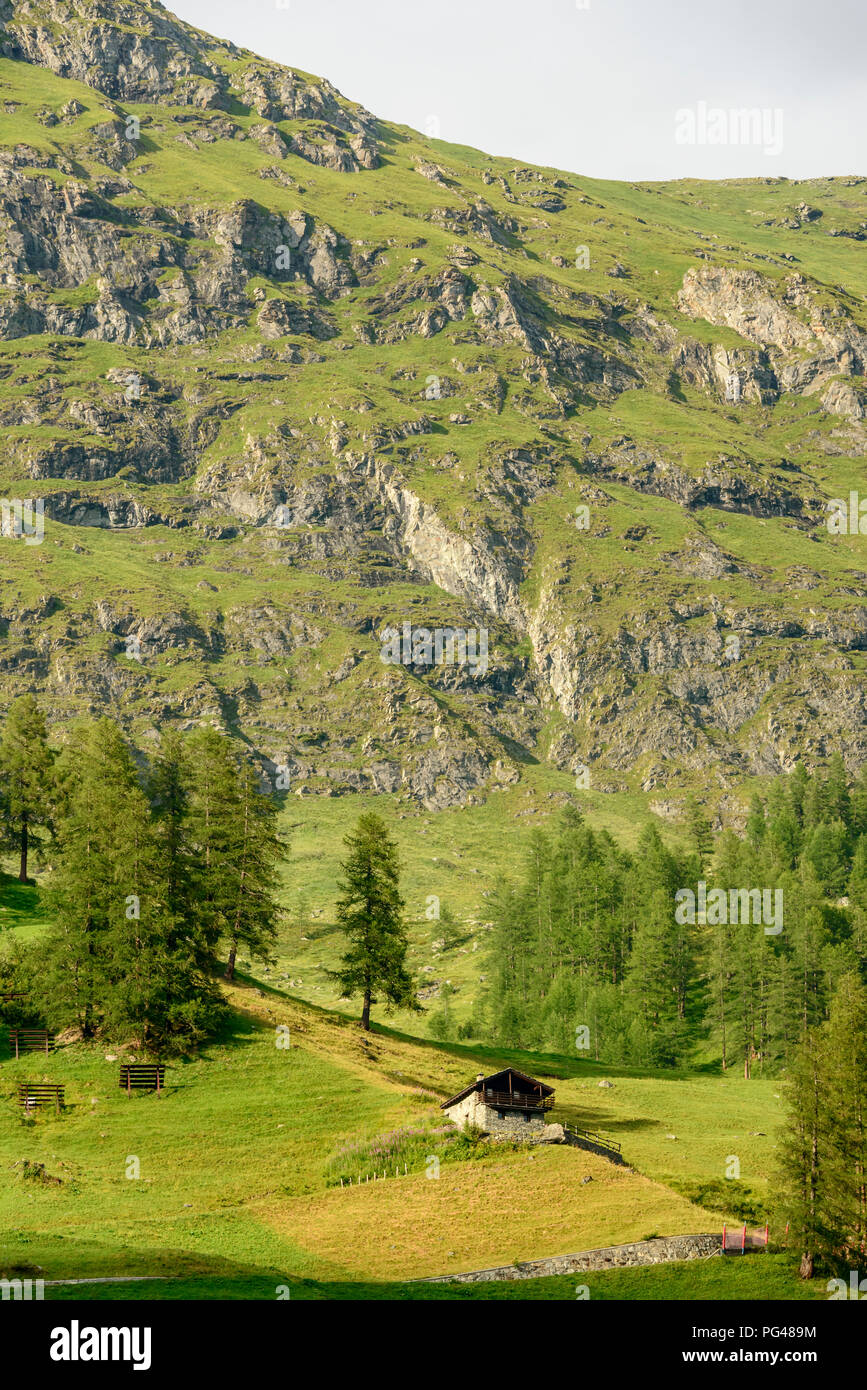 Walser architecture immagini e fotografie stock ad alta risoluzione - Alamy