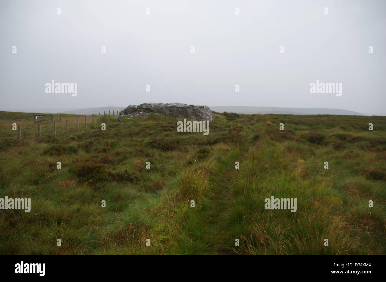Kielder Forest. John O' semole (Duncansby head) in terre fine. da ...