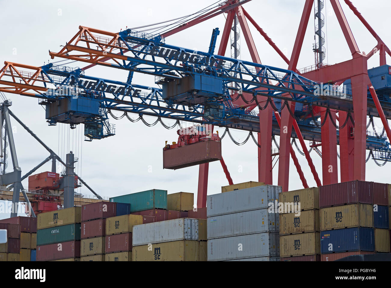 Eurogate containerterminal immagini e fotografie stock ad alta ...