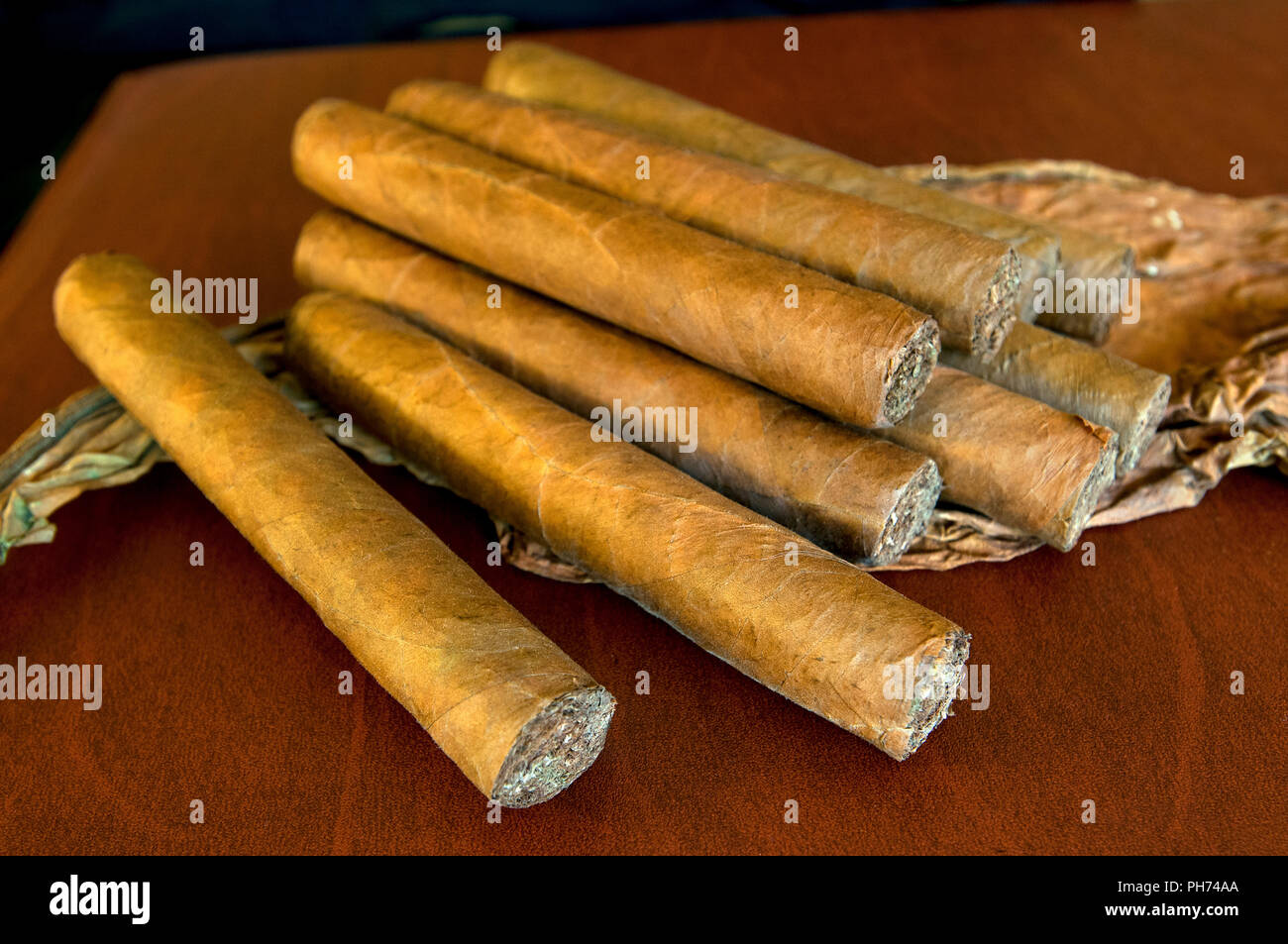 Sigari cubani cubani di tabacco immagini e fotografie stock ad alta ...