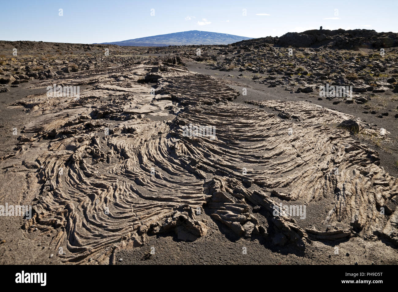 Vulcano a scudo immagini e fotografie stock ad alta risoluzione - Alamy