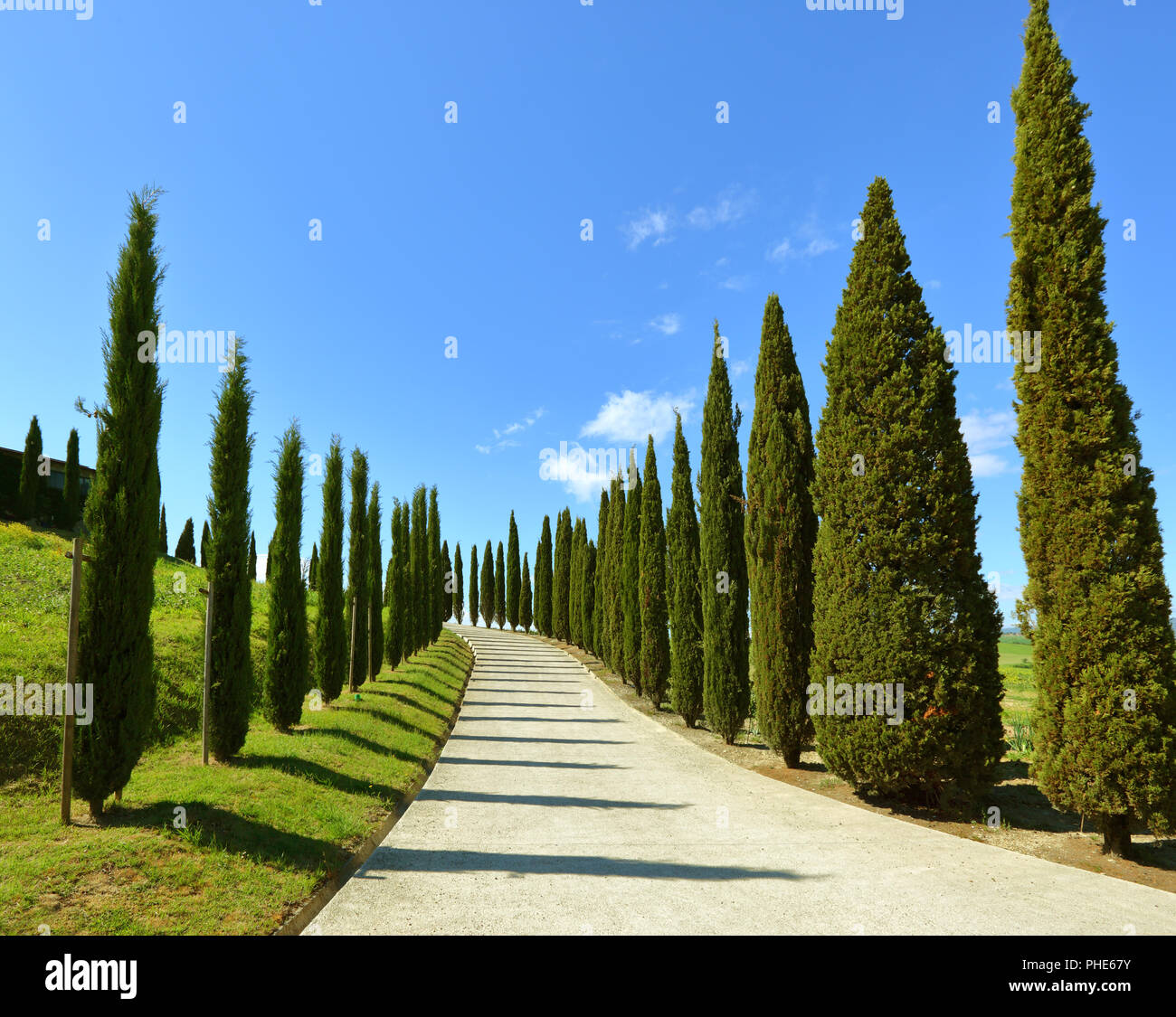Cipressi strada immagini e fotografie stock ad alta risoluzione - Alamy