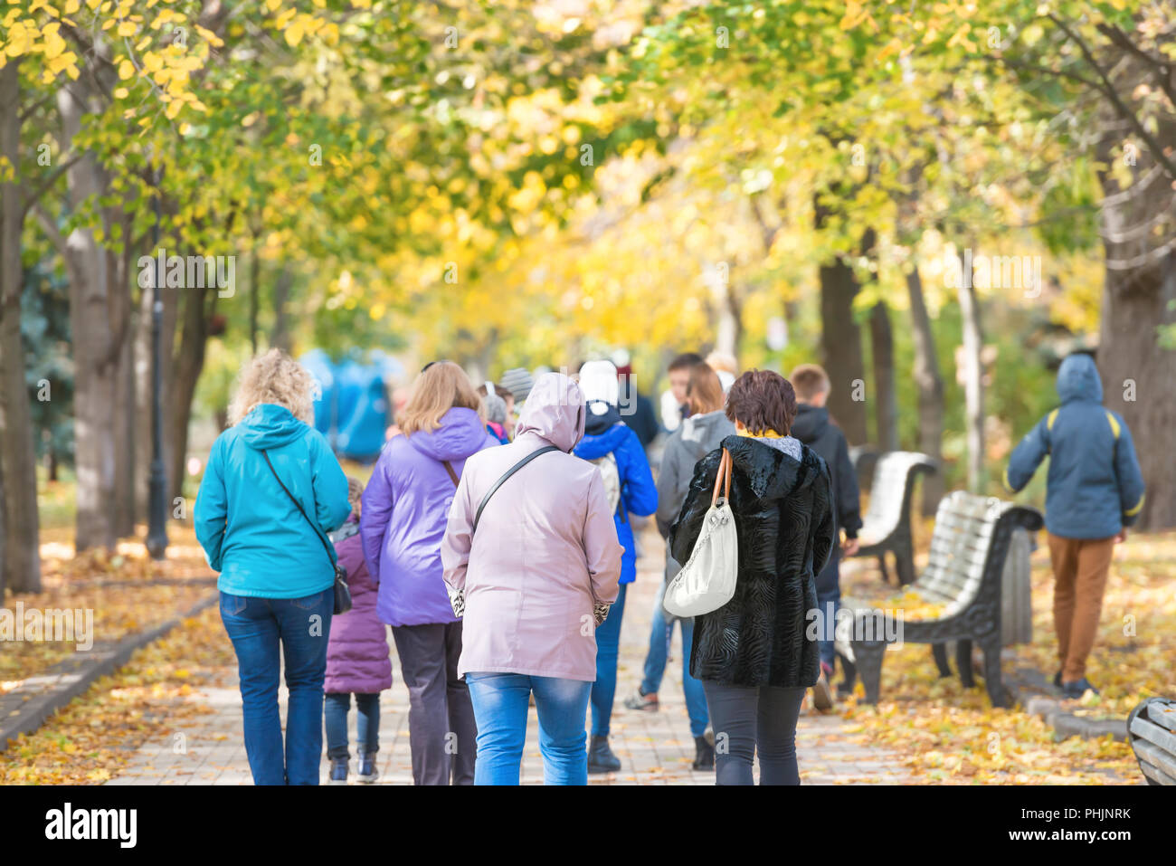 Persone e foglie nel parco immagini e fotografie stock ad alta ...