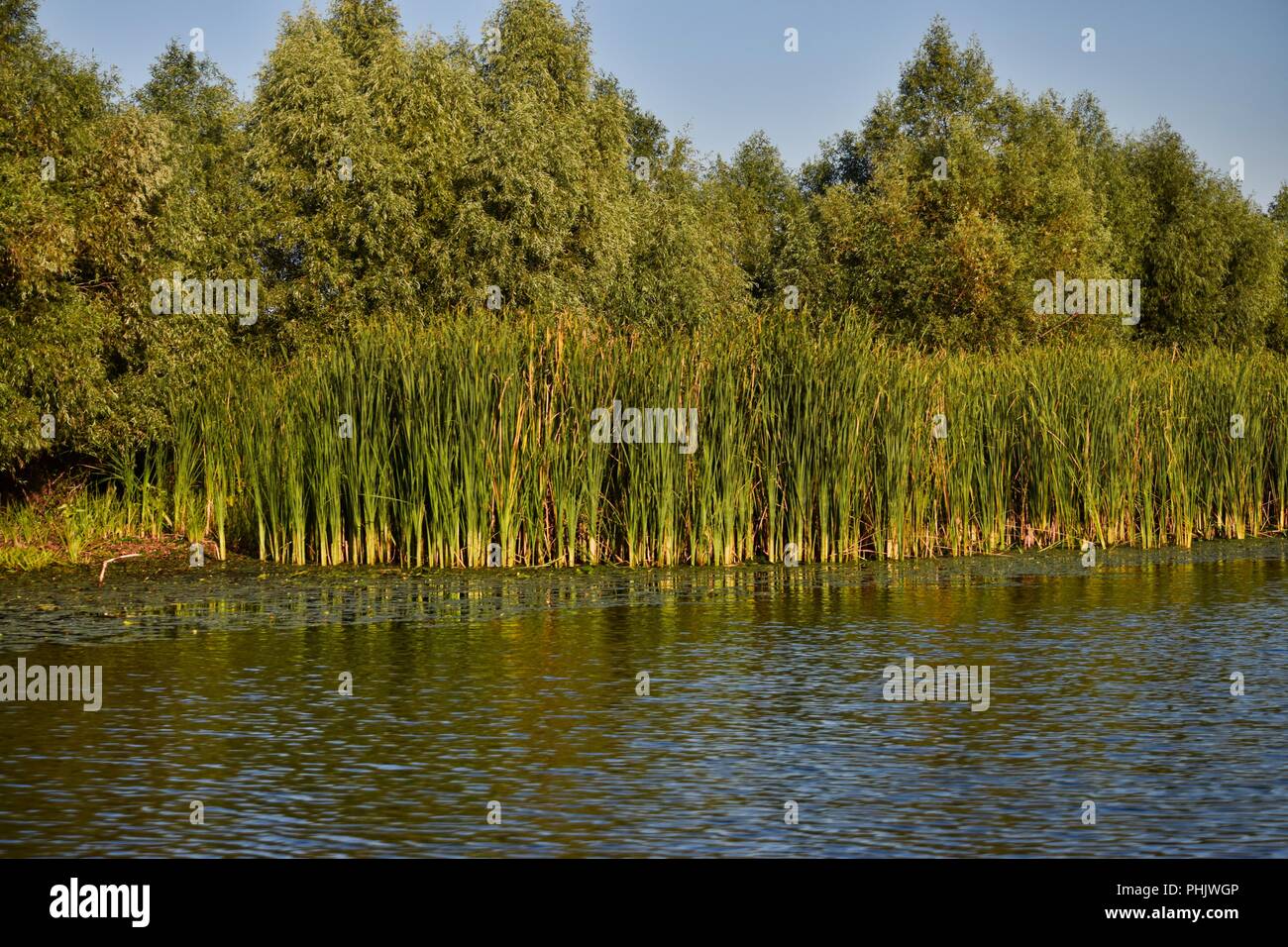 Riserva della biosfera delta del danubio immagini e fotografie stock ad ...