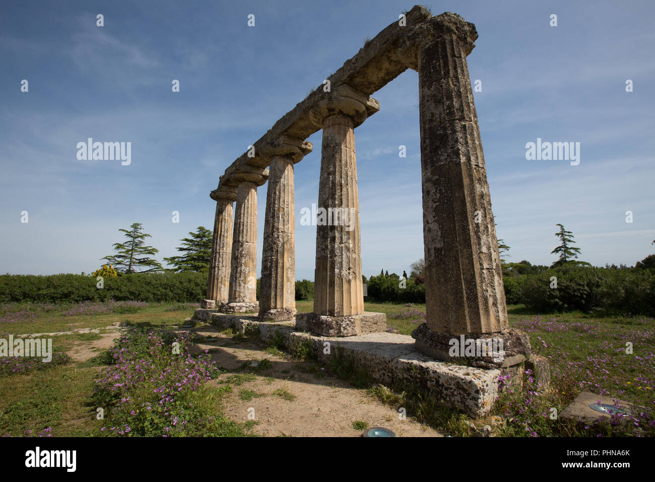Tavole palatine immagini e fotografie stock ad alta risoluzione - Alamy