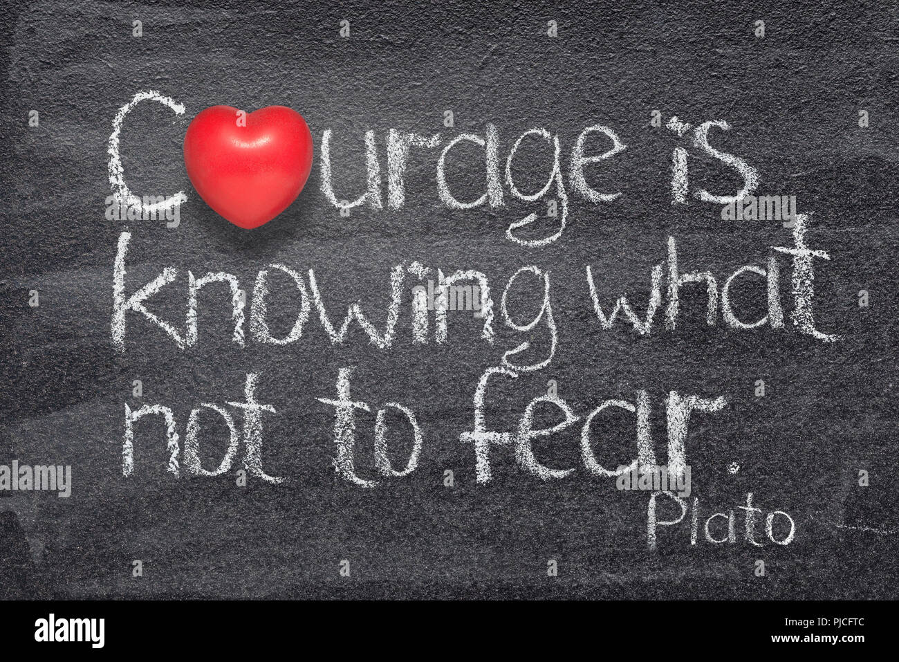 Il coraggio è sapere cosa non temere il preventivo di antico filosofo ...
