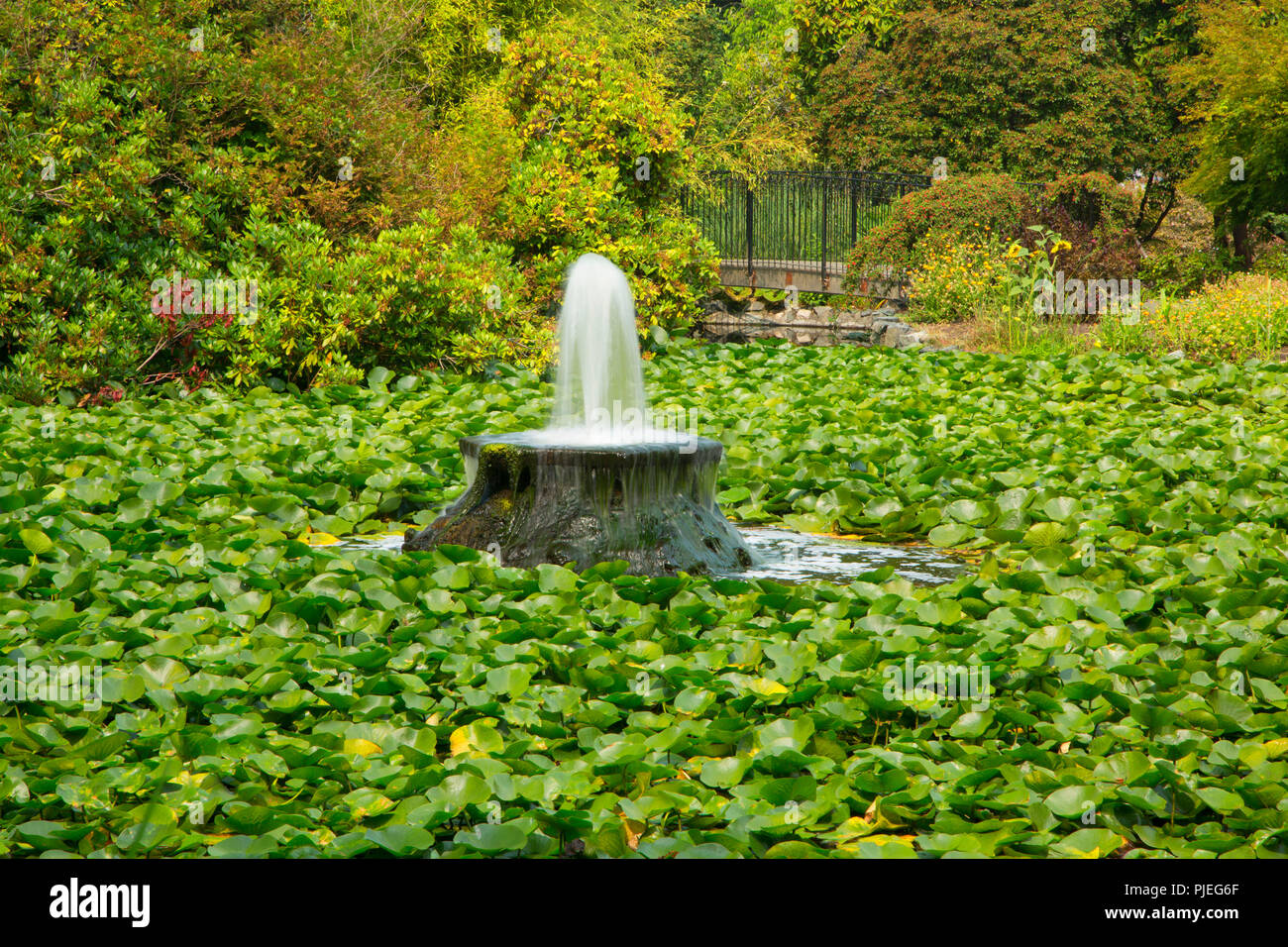 Lago fontana immagini e fotografie stock ad alta risoluzione - Alamy