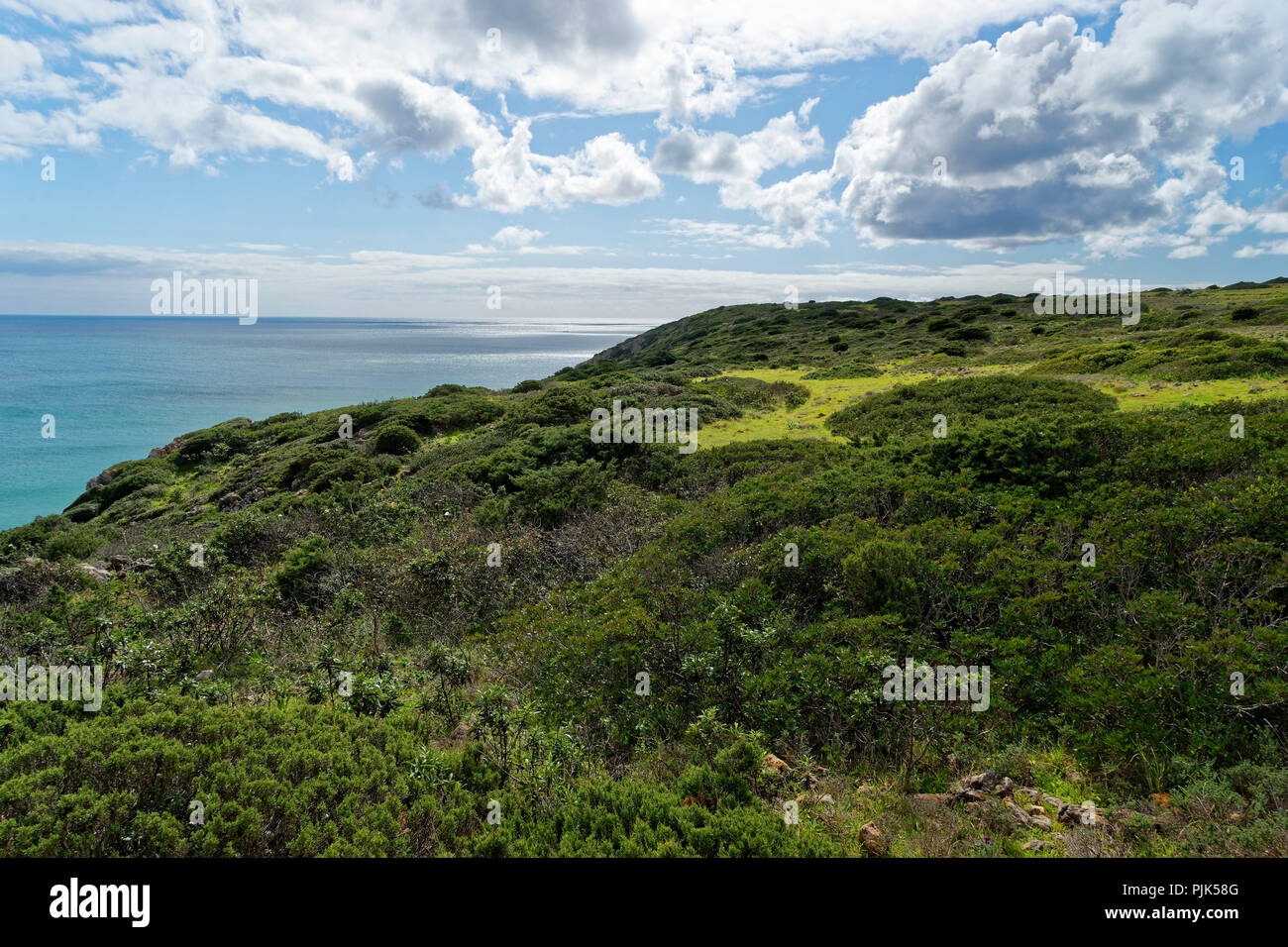 Parque natural da costa vicentina e sudoeste alentejano immagini e ...