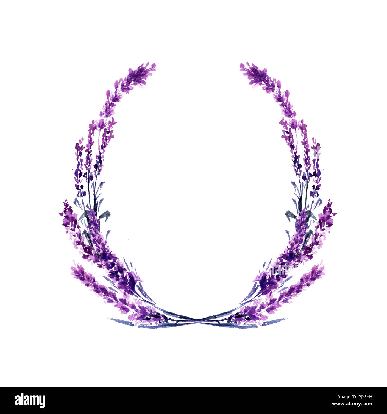 Fiori di lavanda round ramoscello acquerello illustrazione. Cerchio di ...