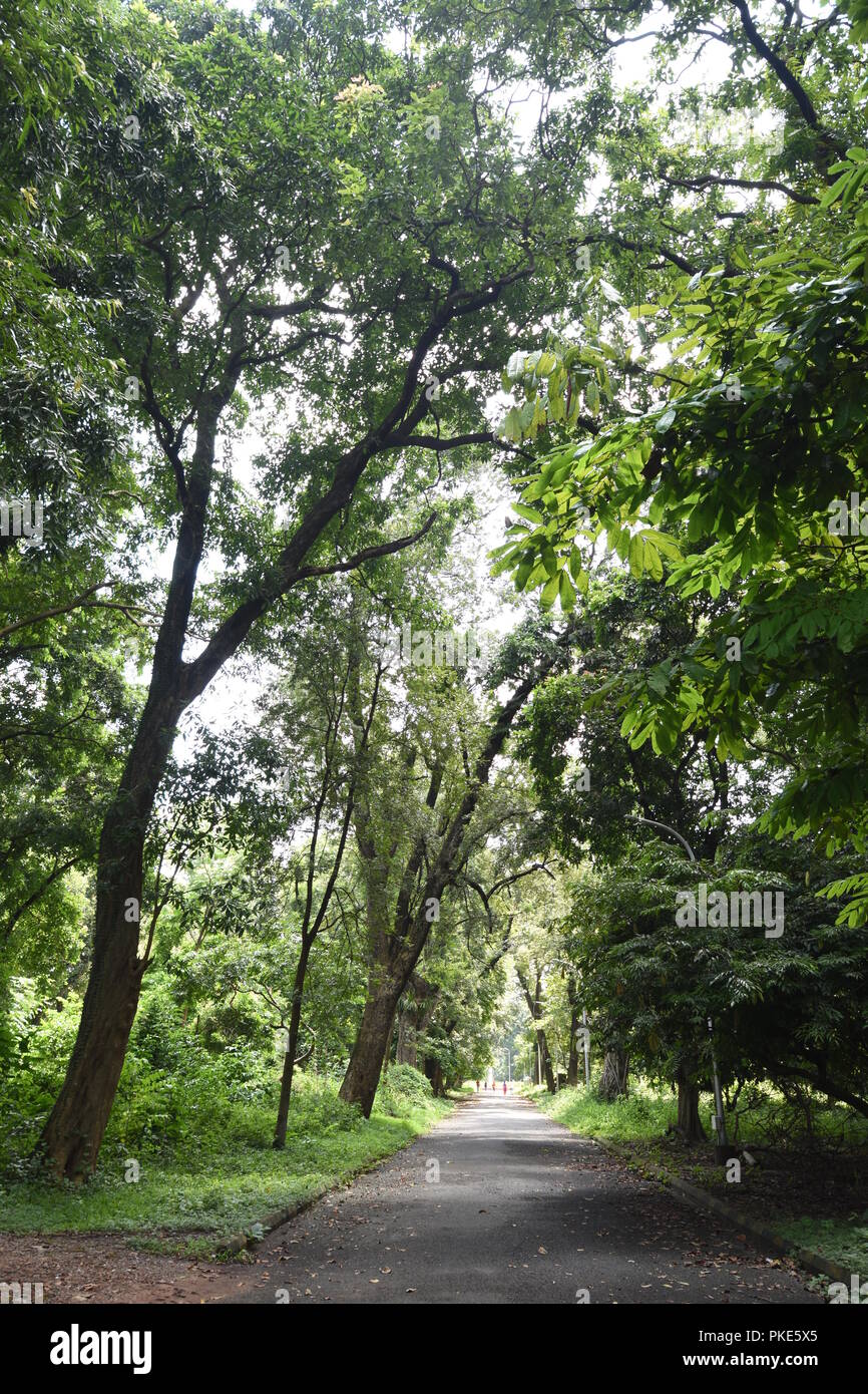 Ajc bose road immagini e fotografie stock ad alta risoluzione - Alamy