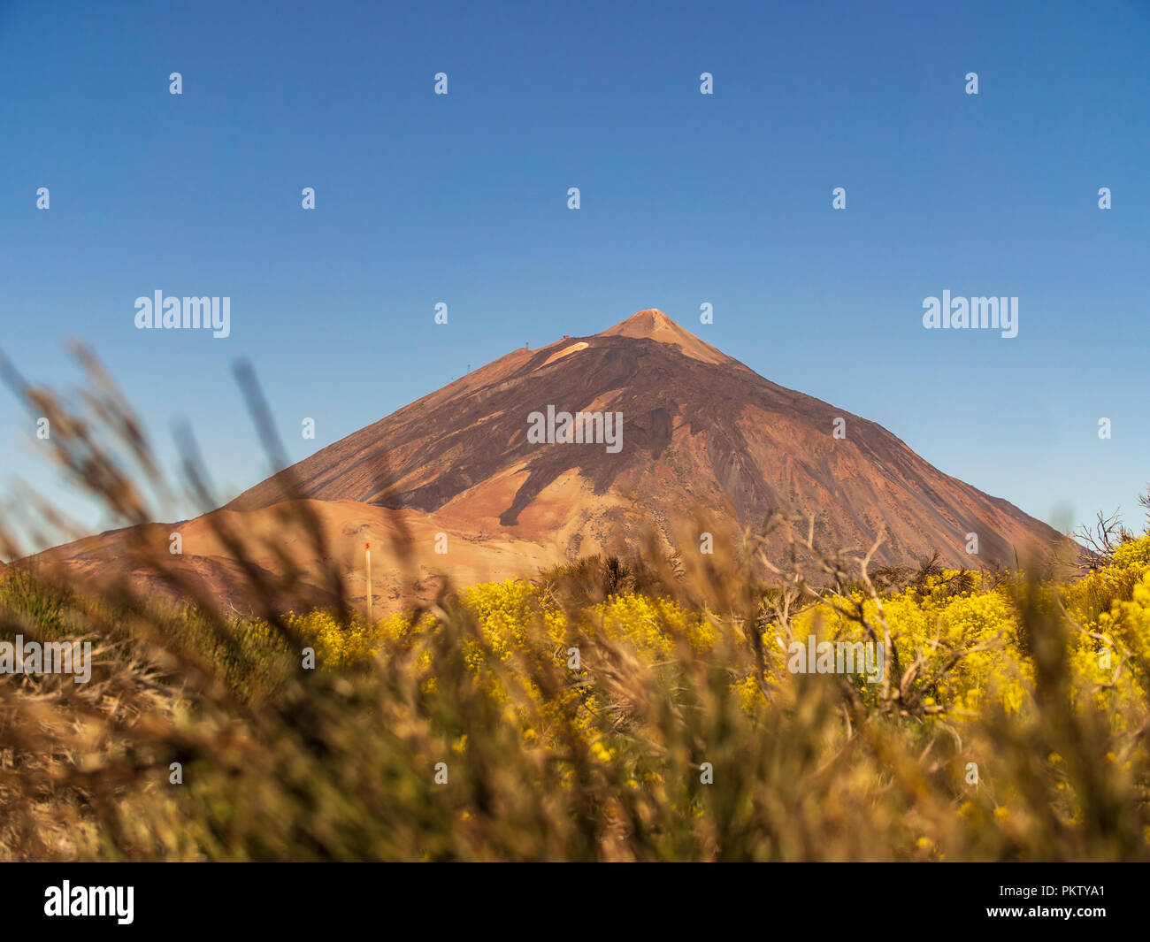Vulcano teide spagna immagini e fotografie stock ad alta risoluzione ...