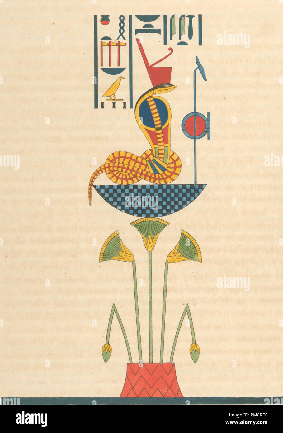 Occhio Di Anubi Immagini e Fotos Stock - Alamy