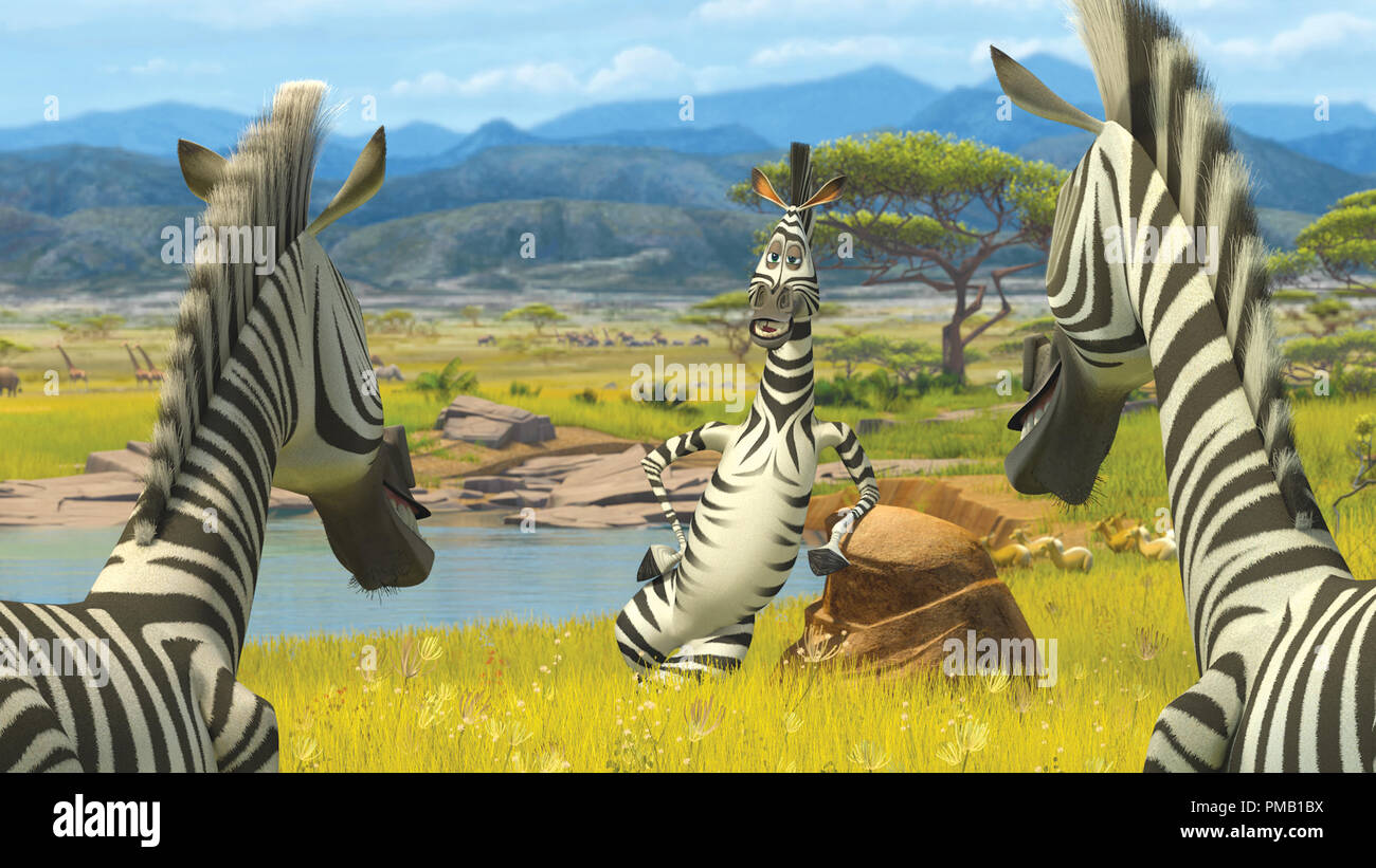 Marty la zebra (centro, Chris Rock) spara la brezza con due delle sue ...