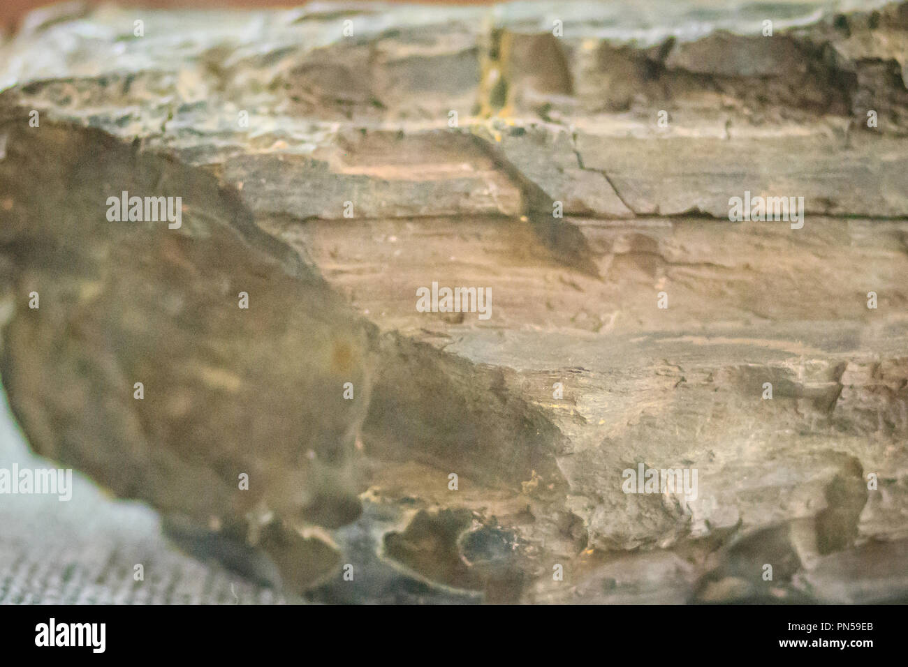 Torba di lignite immagini e fotografie stock ad alta risoluzione - Alamy