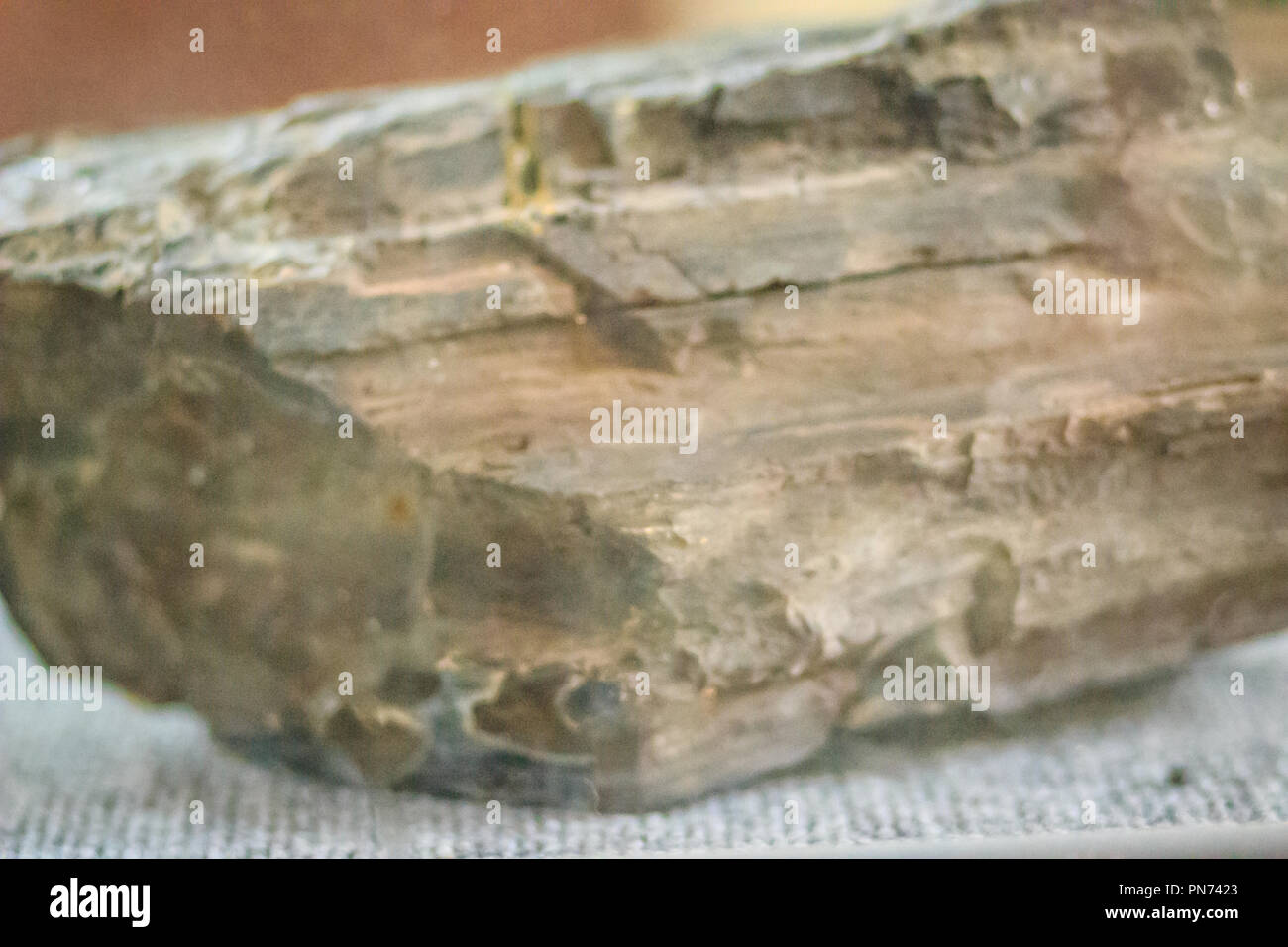 Torba di lignite immagini e fotografie stock ad alta risoluzione - Alamy