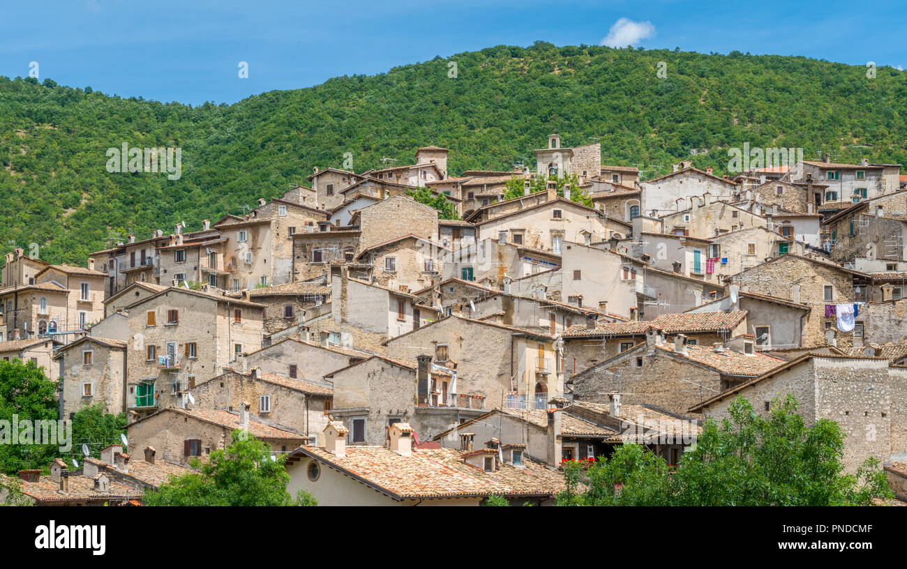 Scanno aquila immagini e fotografie stock ad alta risoluzione - Alamy