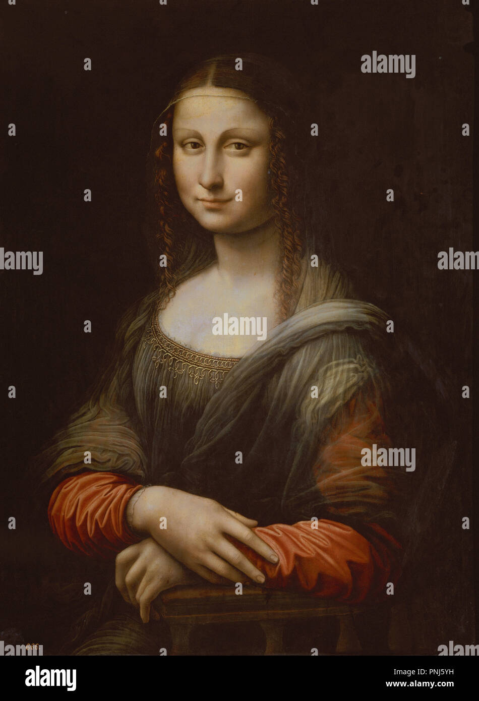 La gioconda leonardo da vinci immagini e fotografie stock ad alta ...