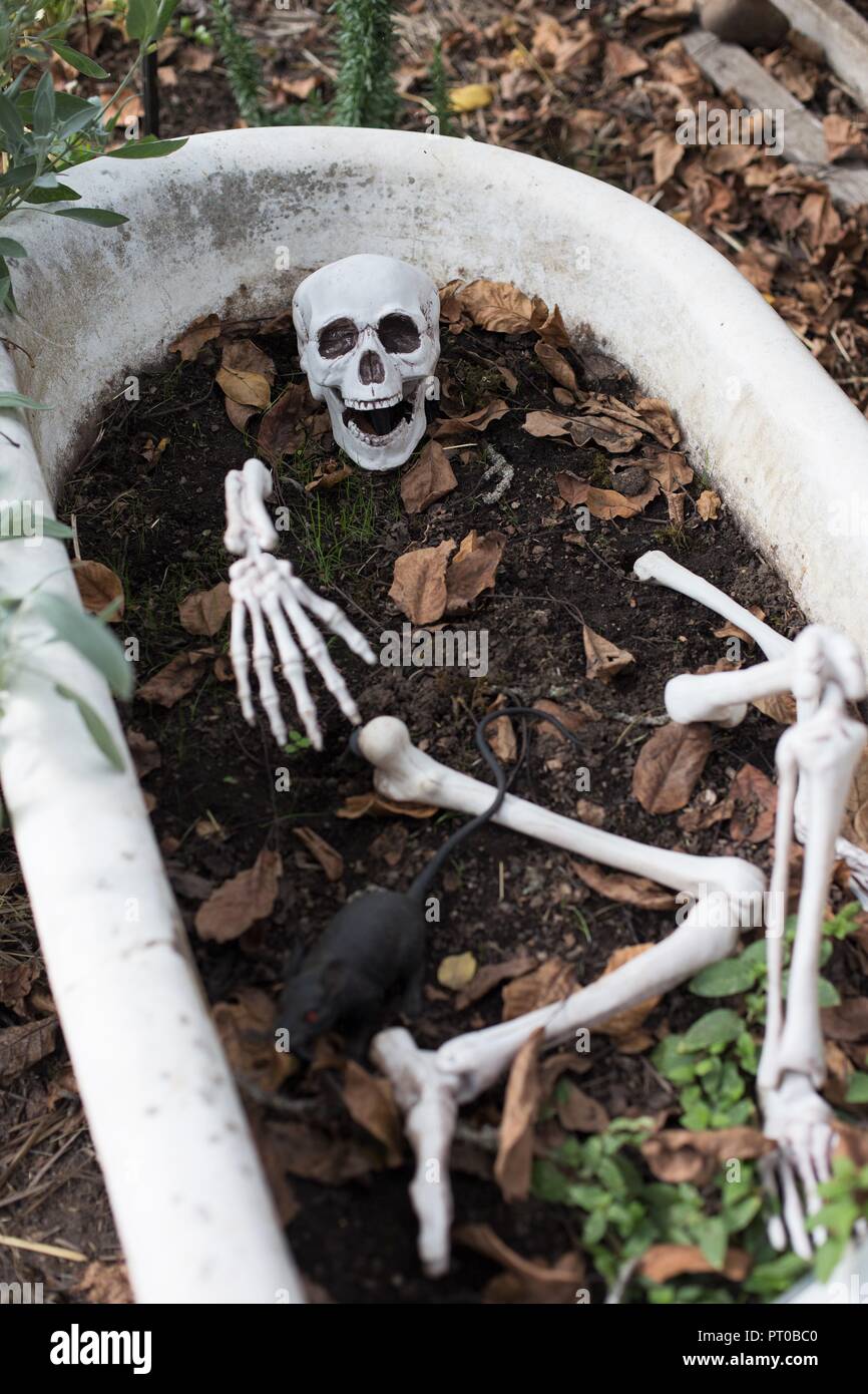 Scheletro nella vasca da bagno immagini e fotografie stock ad alta ...