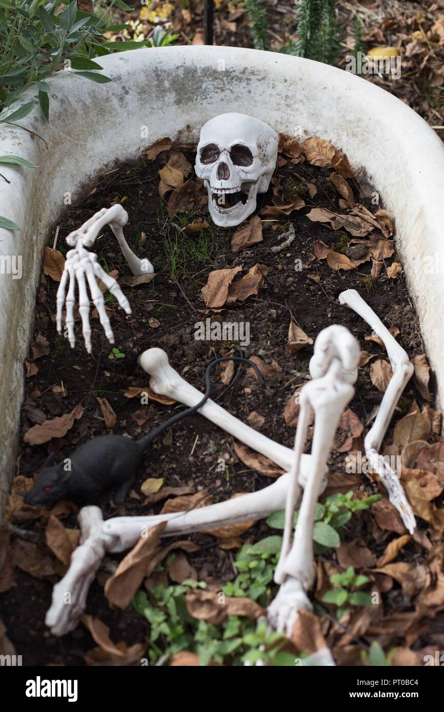 Scheletro nella vasca da bagno immagini e fotografie stock ad alta ...