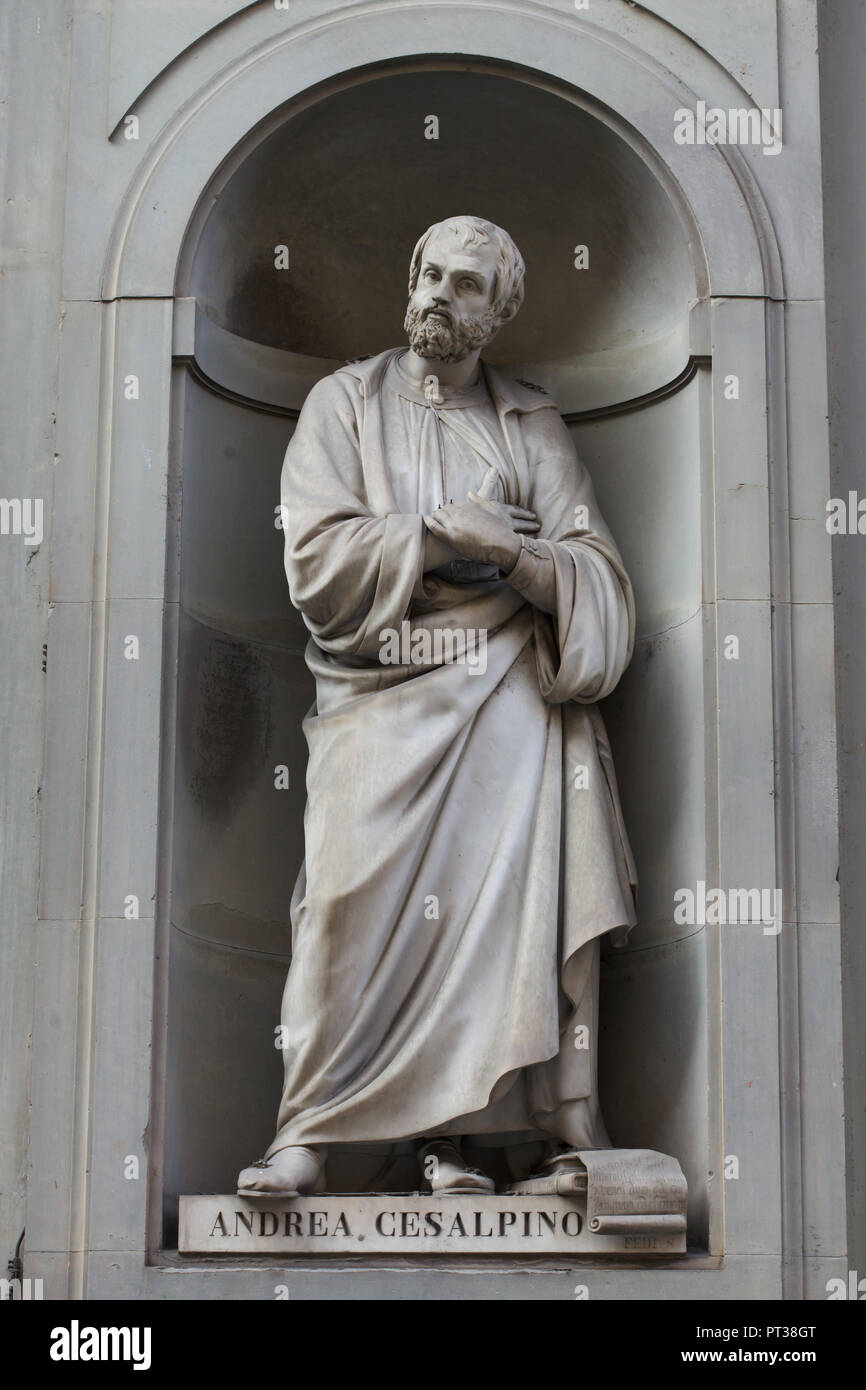 Rinascimento italiano medico e botanico Andrea Cesalpino. Statua in ...