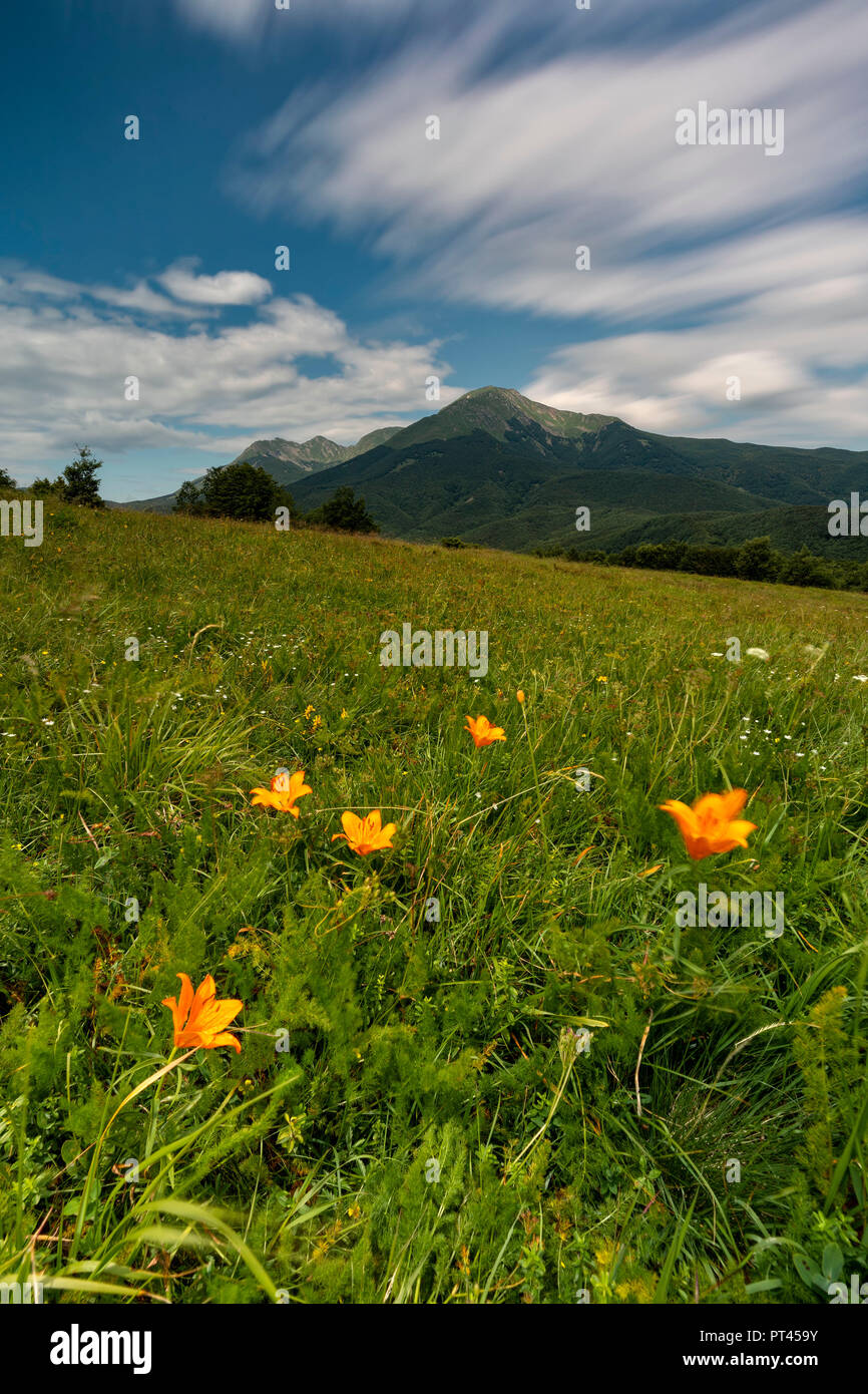 Cerreto alpi immagini e fotografie stock ad alta risoluzione - Alamy
