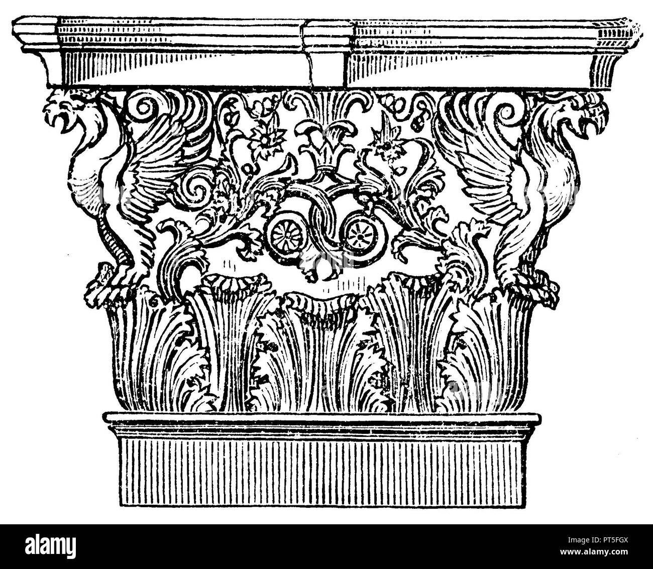 Capitello corinzio disegno immagini e fotografie stock ad alta ...