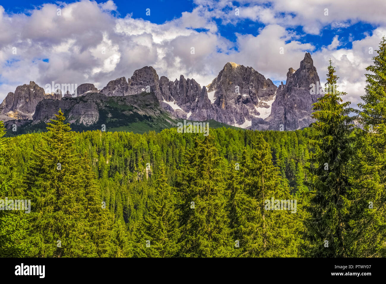 Foresta di paneveggio immagini e fotografie stock ad alta risoluzione ...