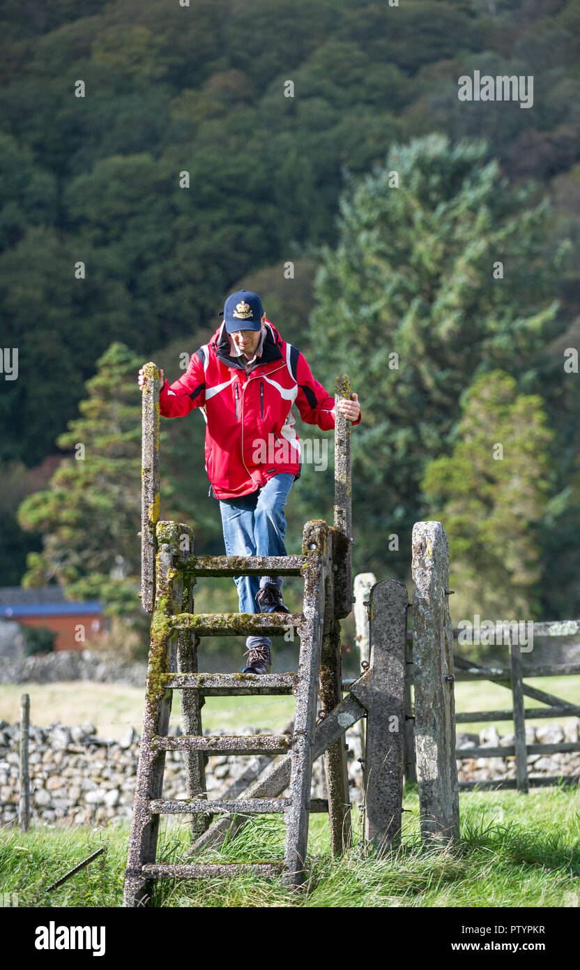 Stepping stile immagini e fotografie stock ad alta risoluzione - Alamy
