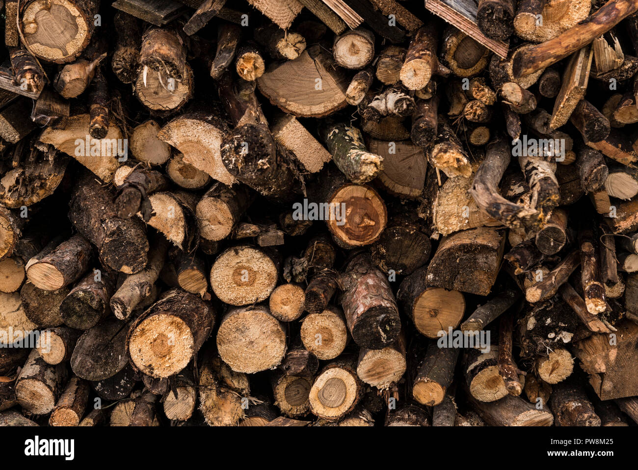 Legname tagliato immagini e fotografie stock ad alta risoluzione - Alamy