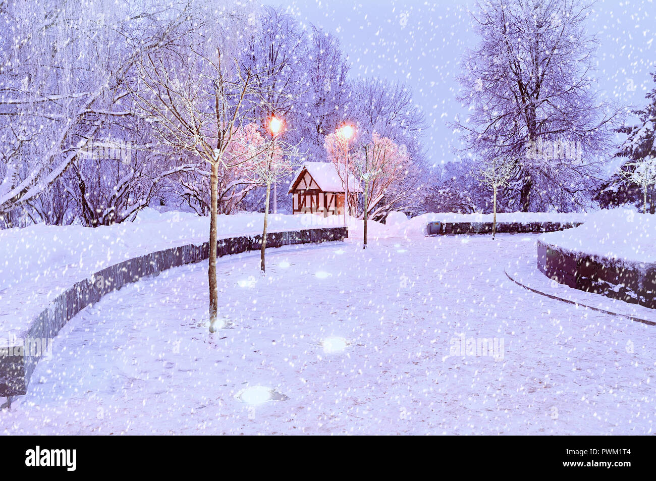 Paesaggio invernale con i fiocchi di neve. Vista invernale con la ...