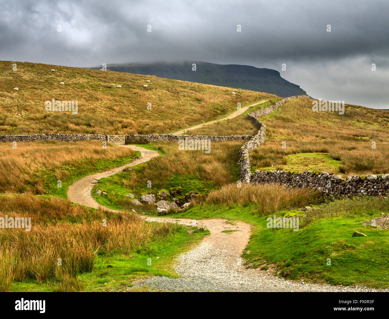 Percorso pennine way verso pen y ghent nel nord yorkshire yorkshire ...