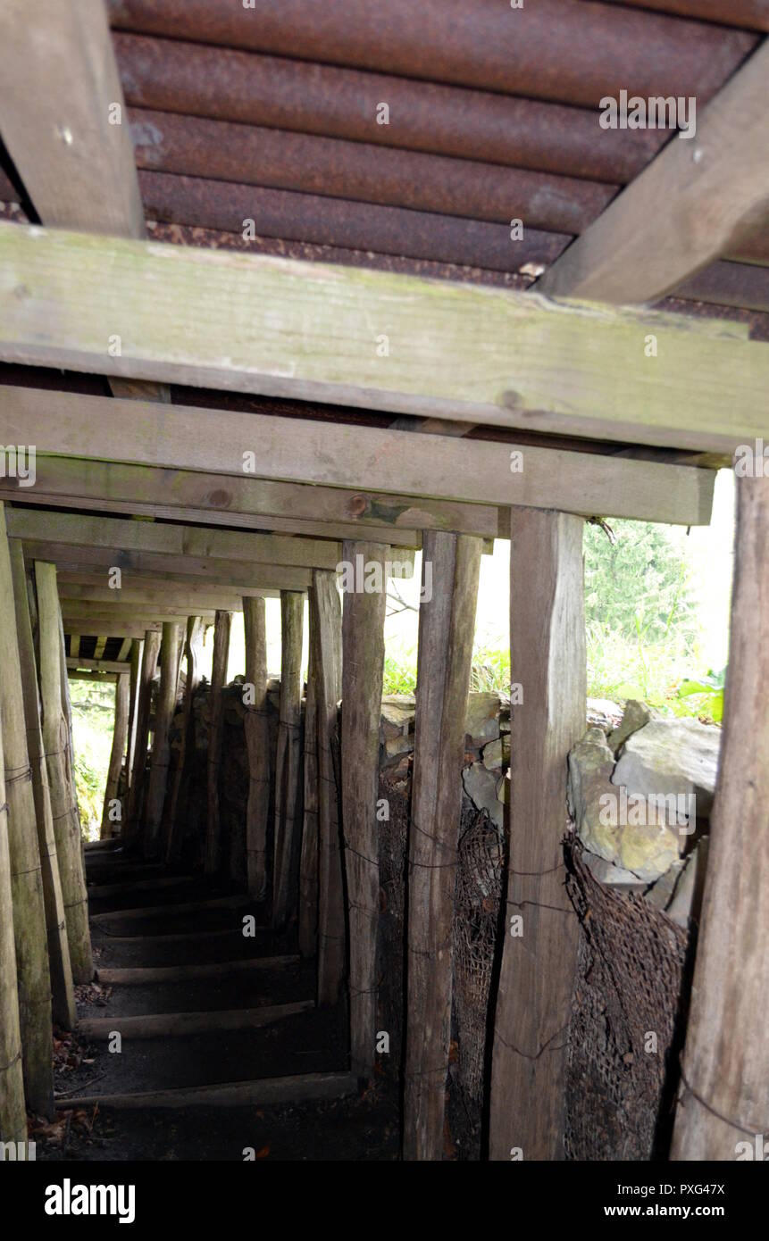 Guerra di trincea francia guerra mondiale 1 prima guerra mondiale ...