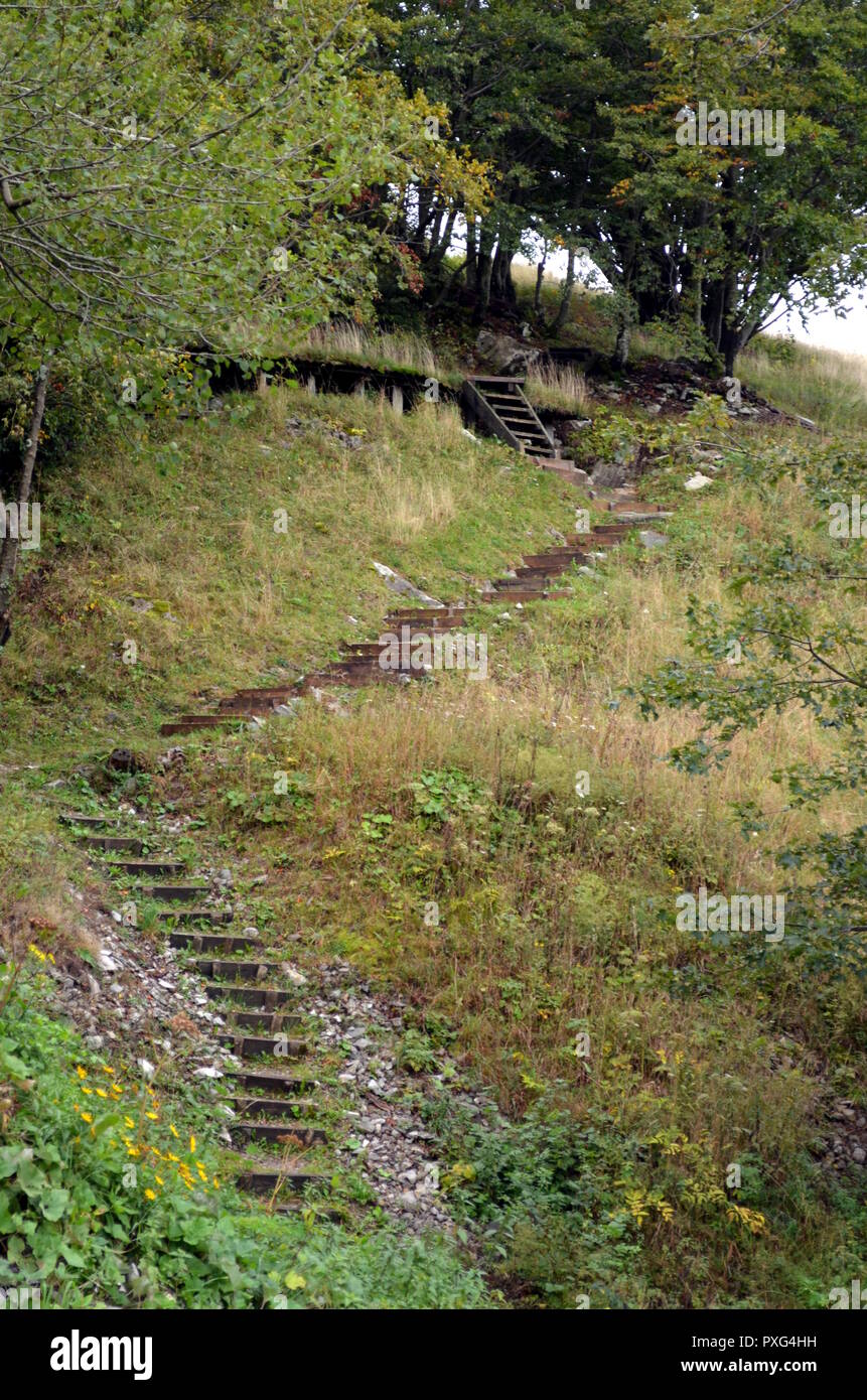 Ww1 trincee guerra di trincea prima guerra mondiale immagini e ...
