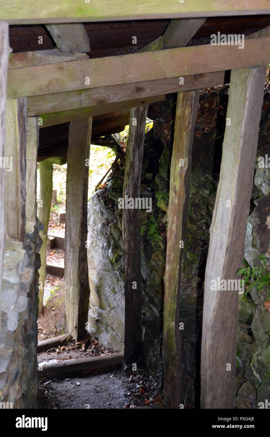 Ww1 trincee guerra di trincea prima guerra mondiale immagini e ...