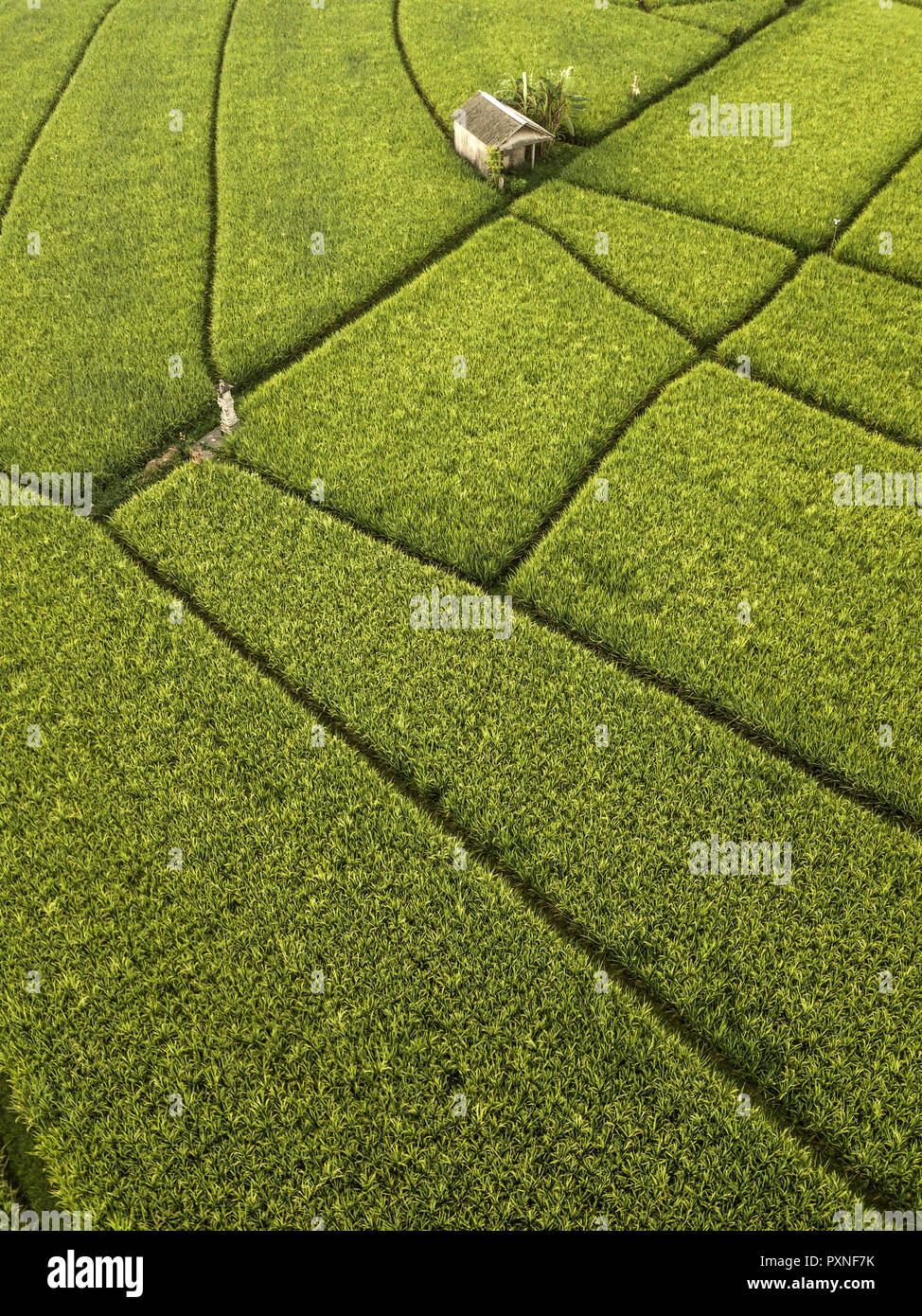 Capanna Agricola Immagini e Fotos Stock - Alamy