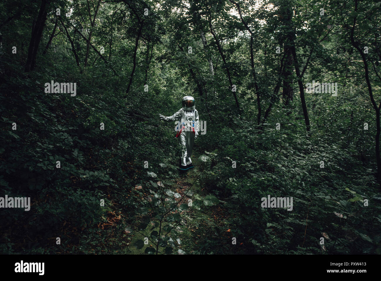 Piante dall'aspetto alieno immagini e fotografie stock ad alta ...