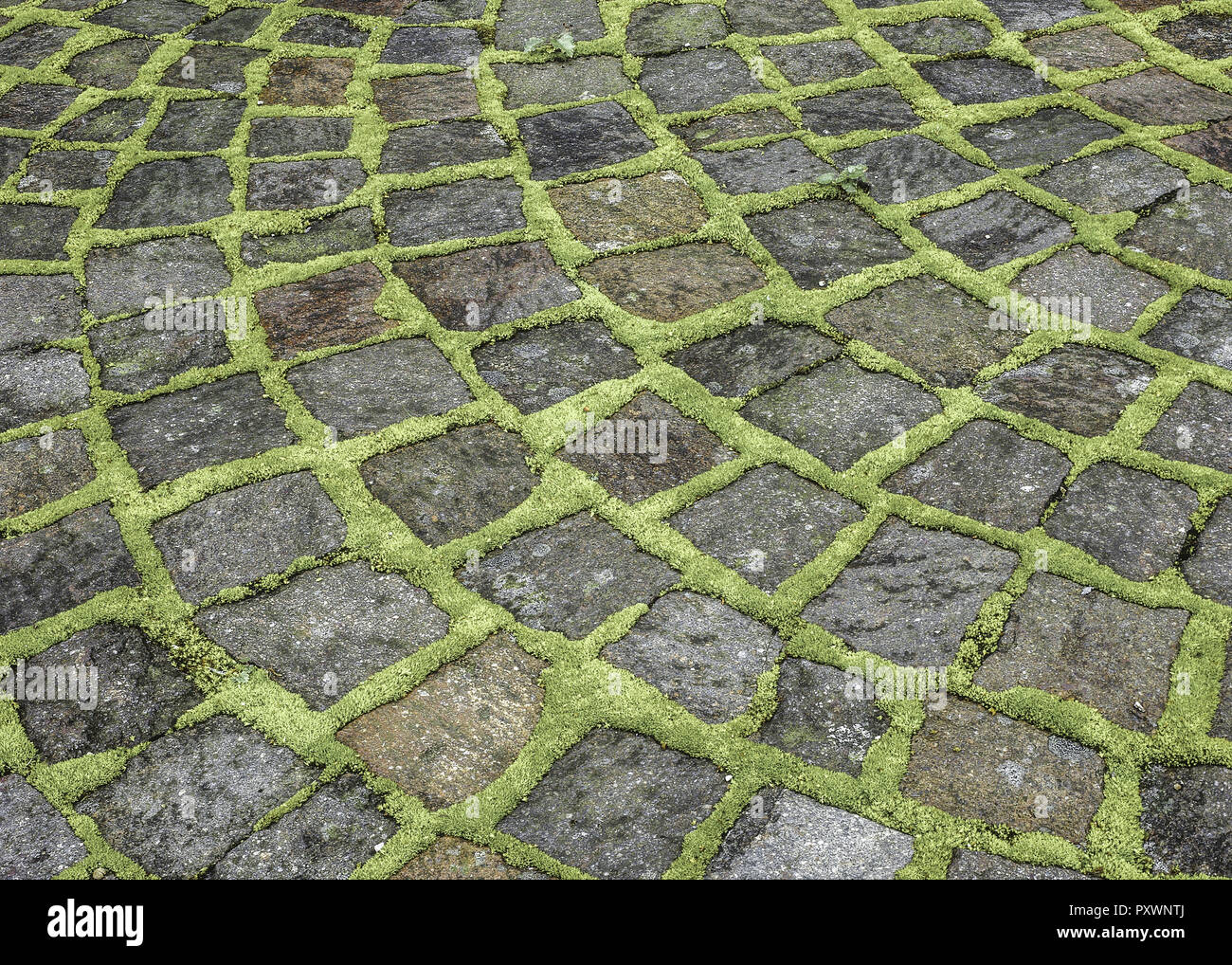 In tana fugen immagini e fotografie stock ad alta risoluzione - Alamy