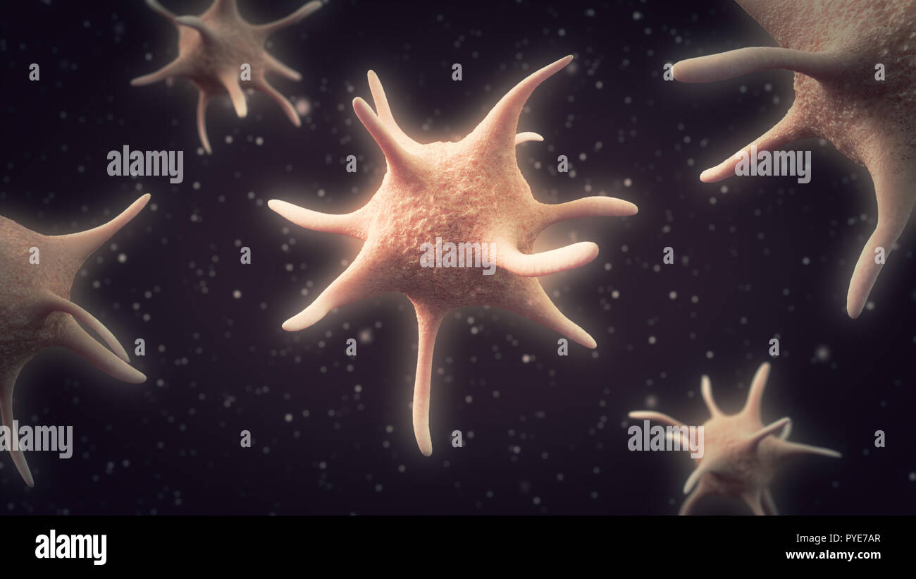 Anatomy cell black and white immagini e fotografie stock ad alta ...