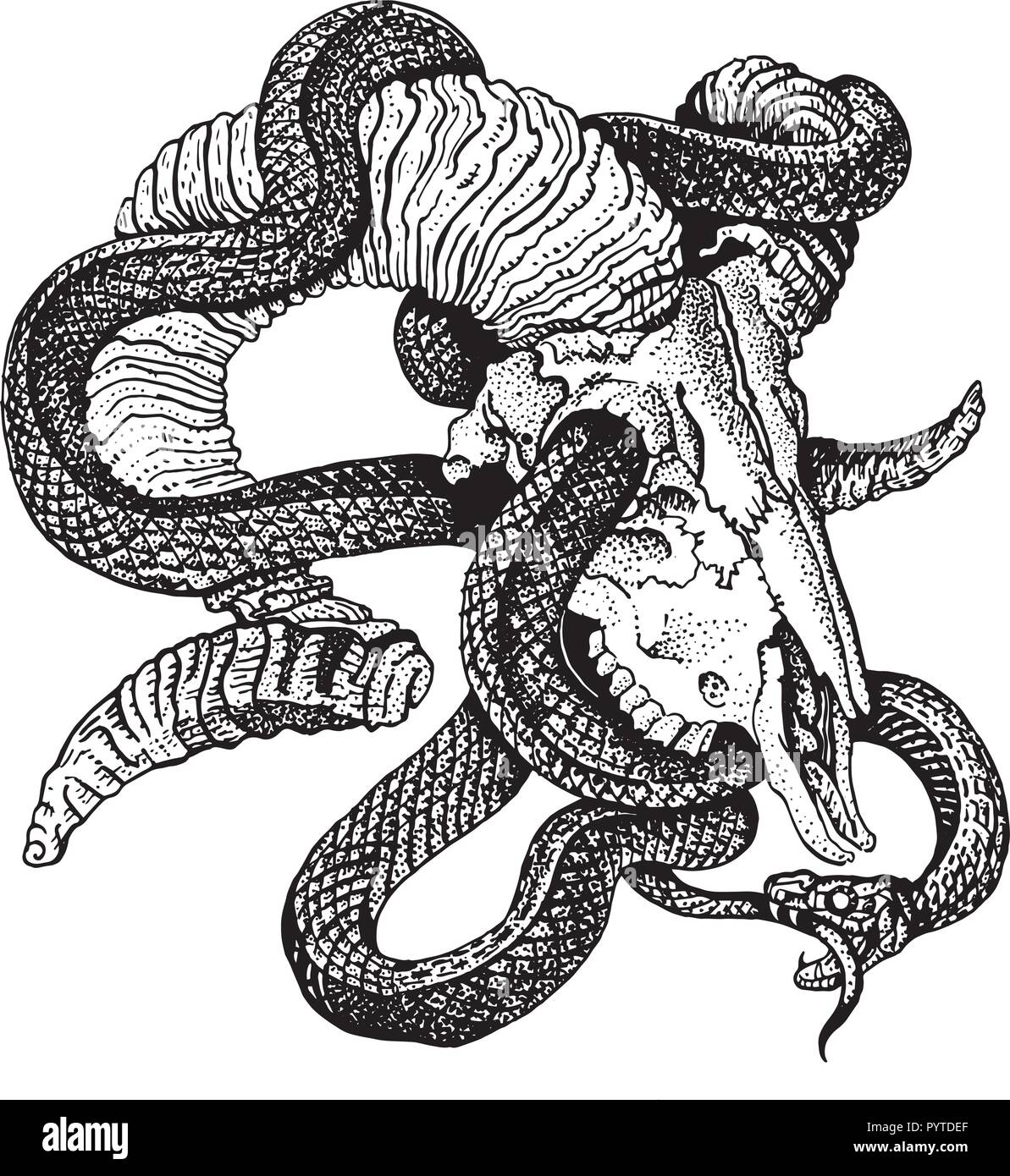 Disegno Teschio E Serpente Compra TATUAGGIO TEMPORANEO CON TESCHIO E